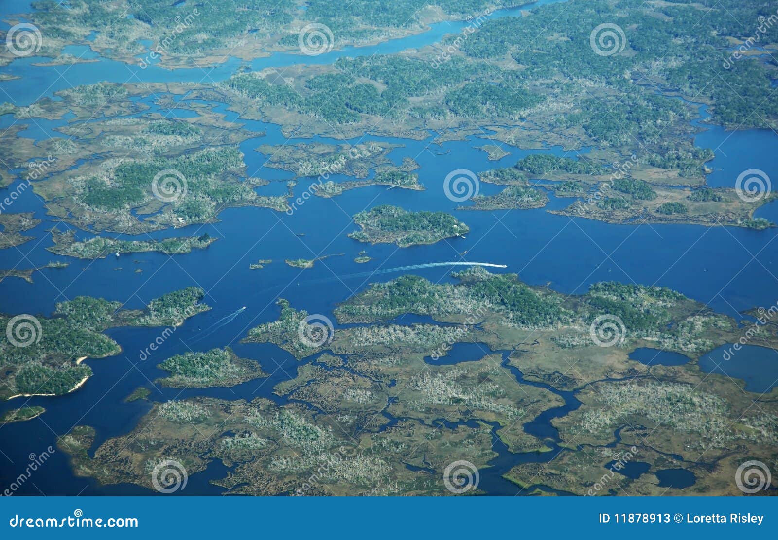 Florida nature coast stock image. Image of boat, wetlands - 11878913