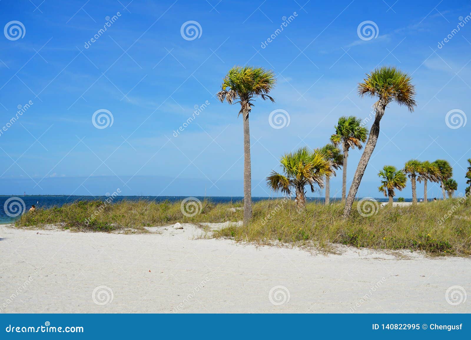 Florida palm harbor beach stock image. Image of cloud - 140822995