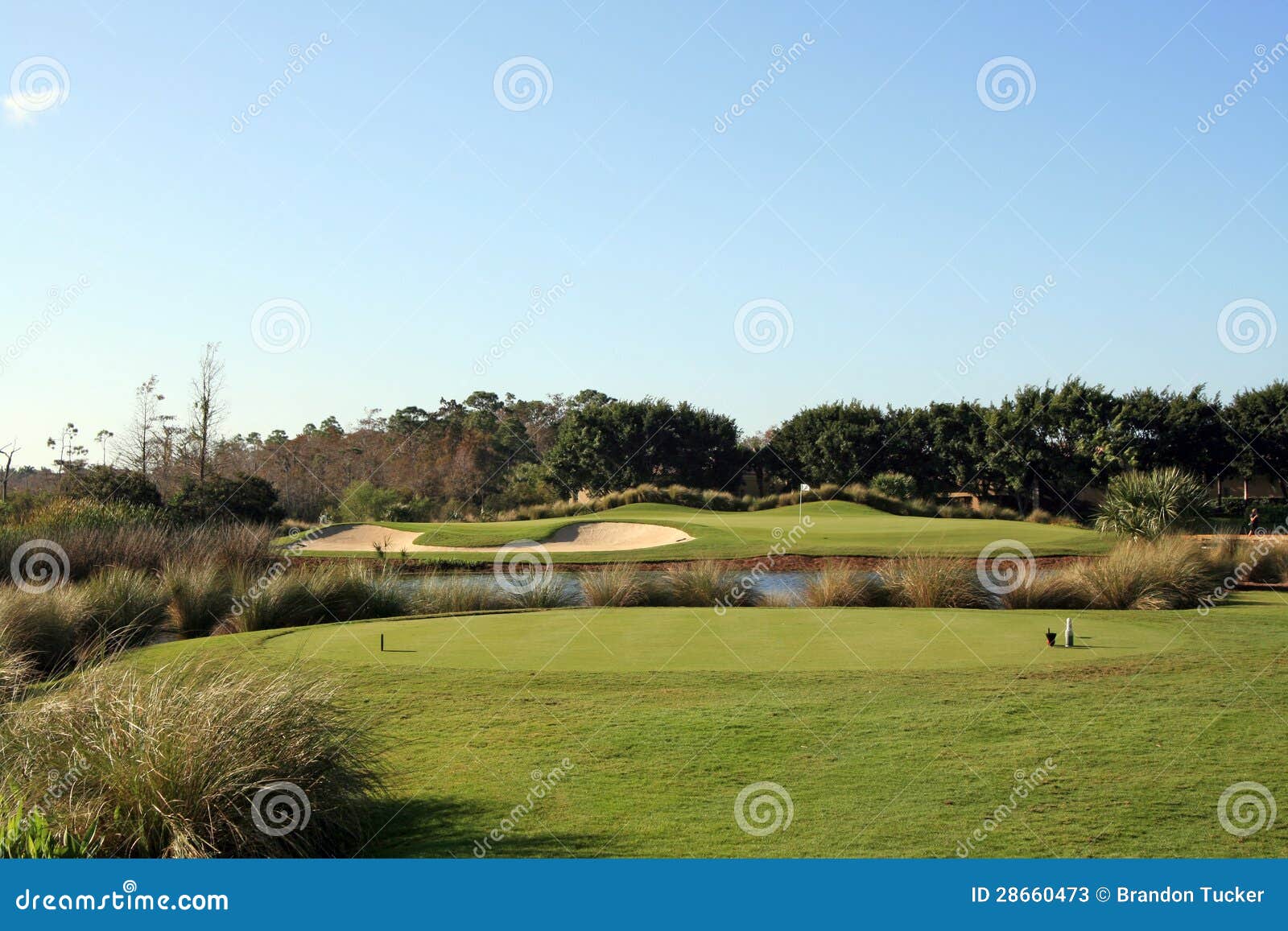 Florida par 3 stock image. Image of leisure, exotic, golfing - 28660473