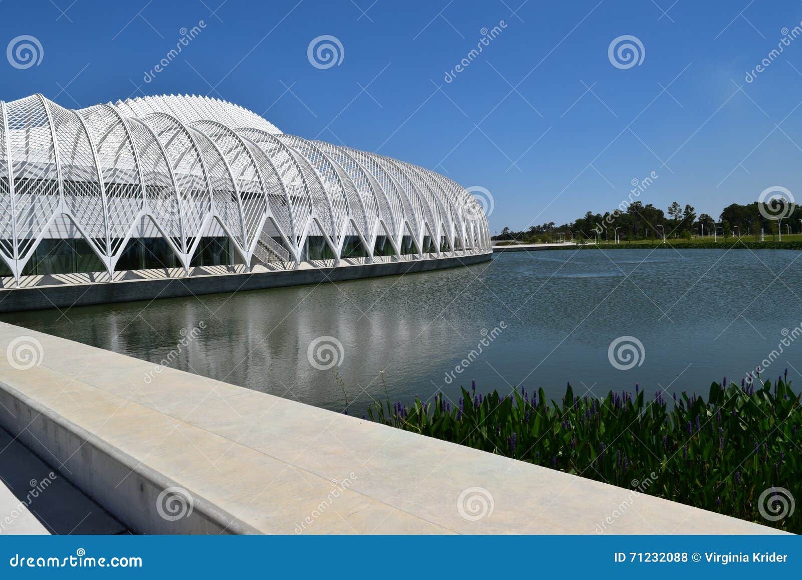 Florida Polytechnic University Editorial Stock Photo - Image of curving ...