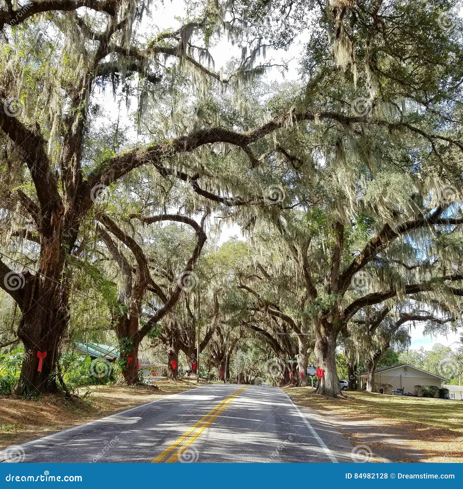 Florida Roads stock photo. Image of roads, beautiful - 84982128