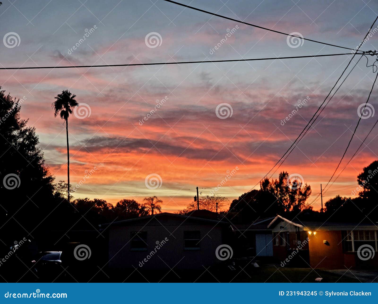 Florida& X27;s Beautiful Orange & Purple Sunset Sky Stock Image - Image ...