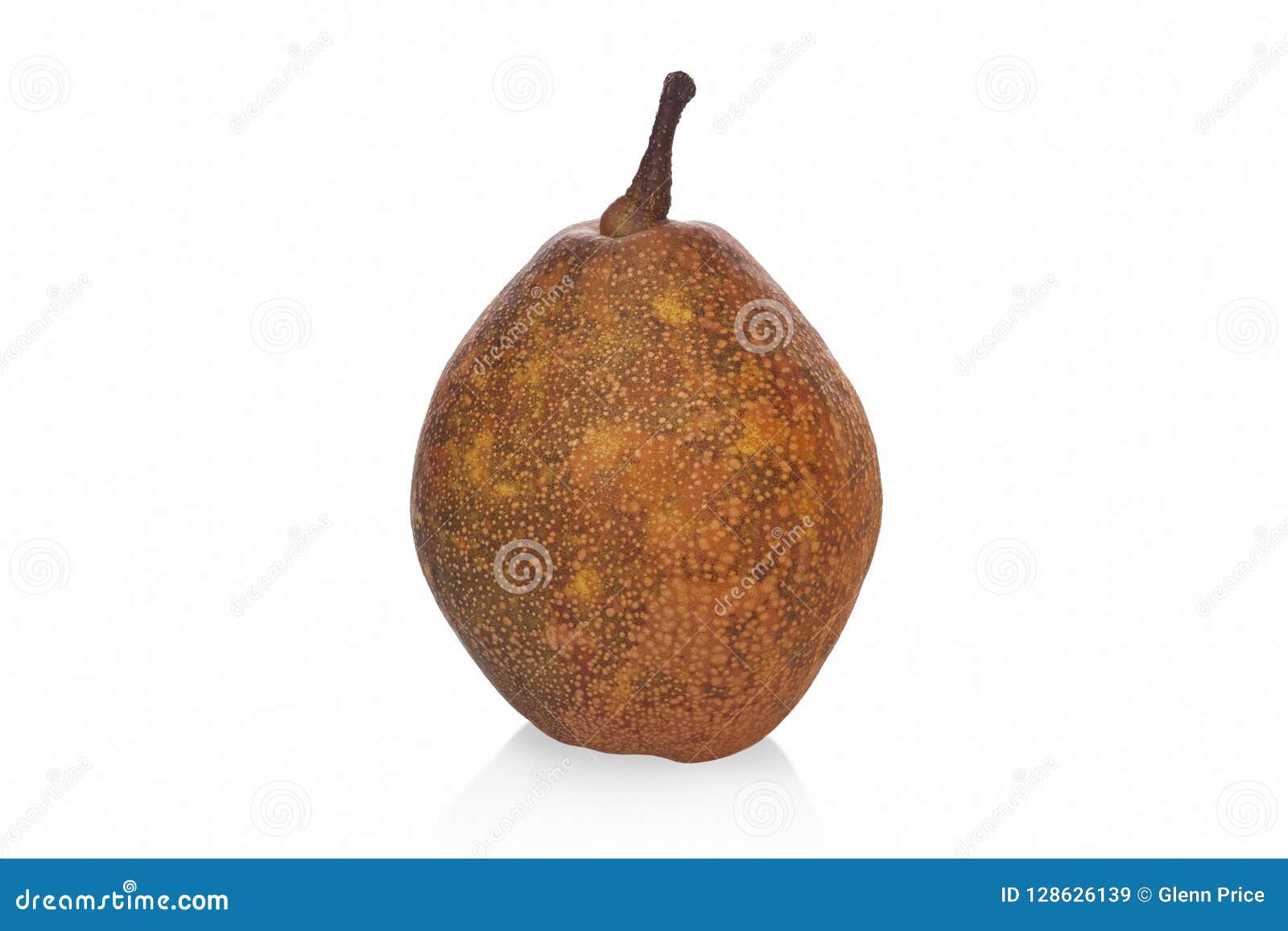 Florida Sand Pear stock image. Image of produce, fruit - 128626139