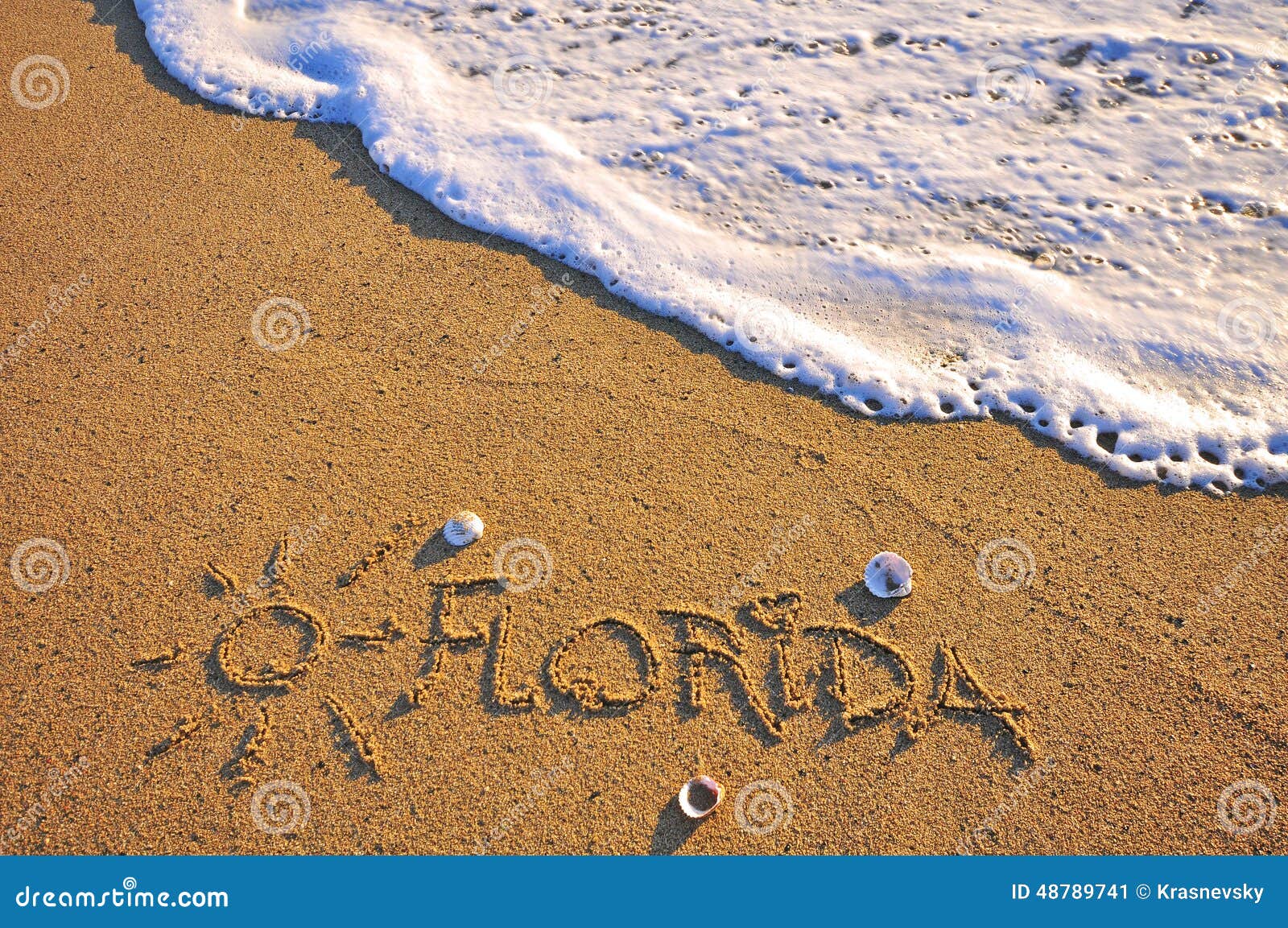 Florida sign stock image. Image of ocean, golden, sign - 48789741