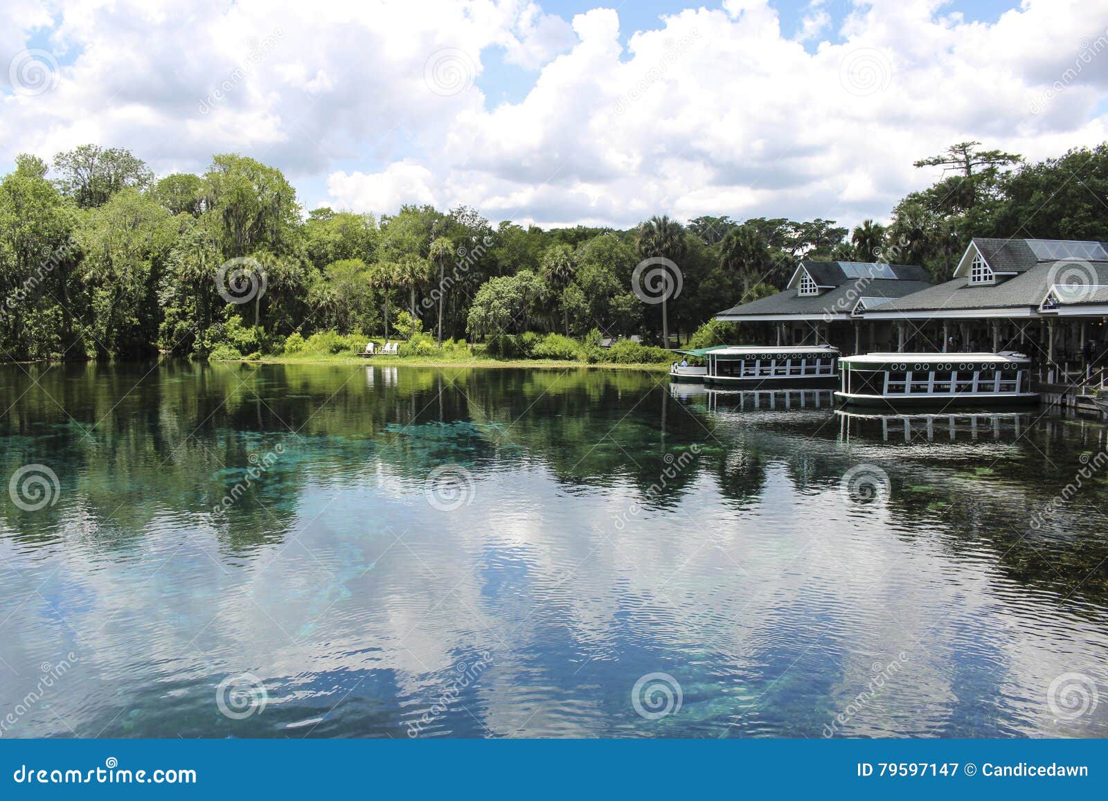 Florida Spring stock image. Image of water, spring, park - 79597147