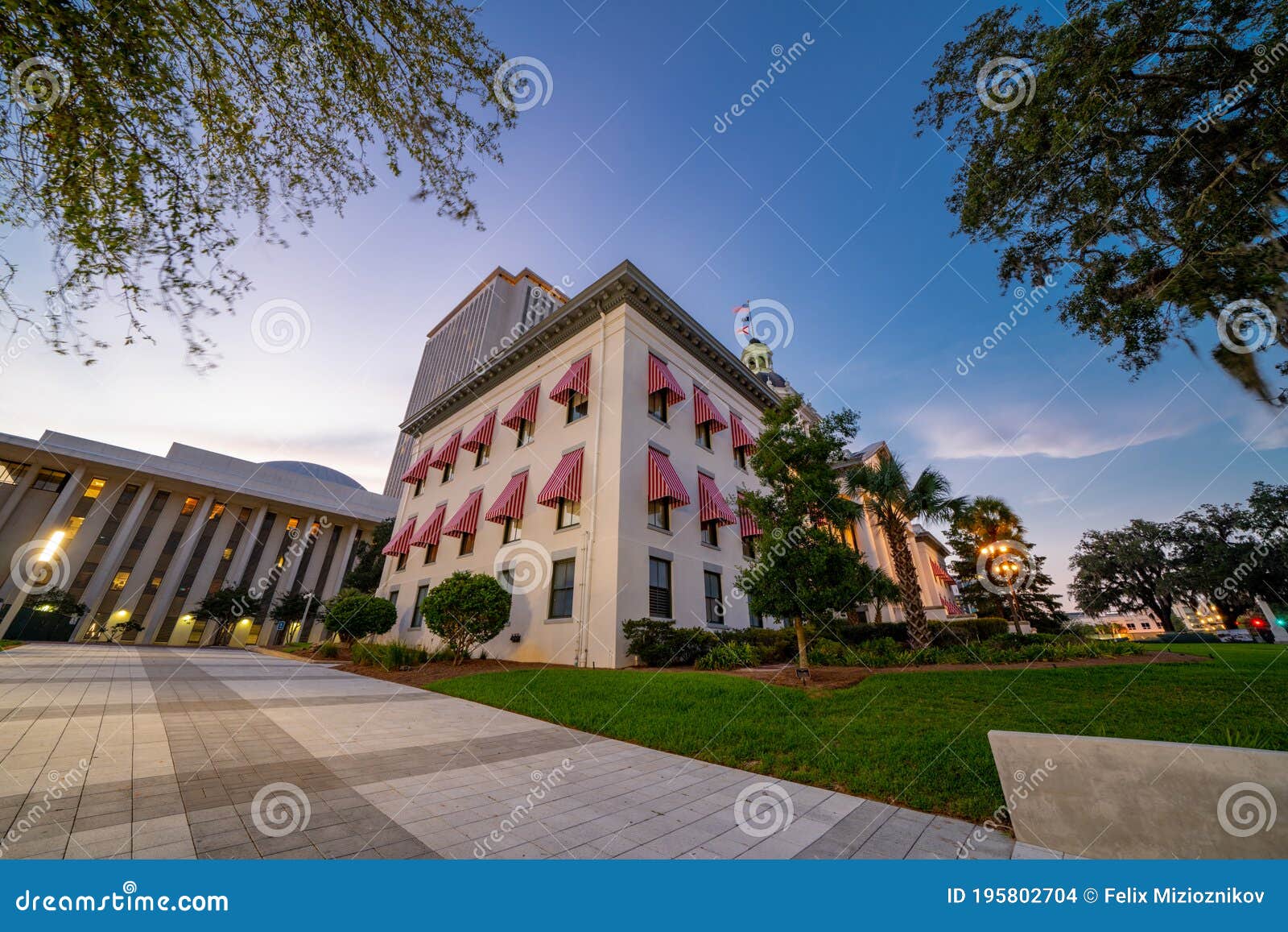 Florida State Capitol Building with Trees in Frame Stock Photo - Image ...