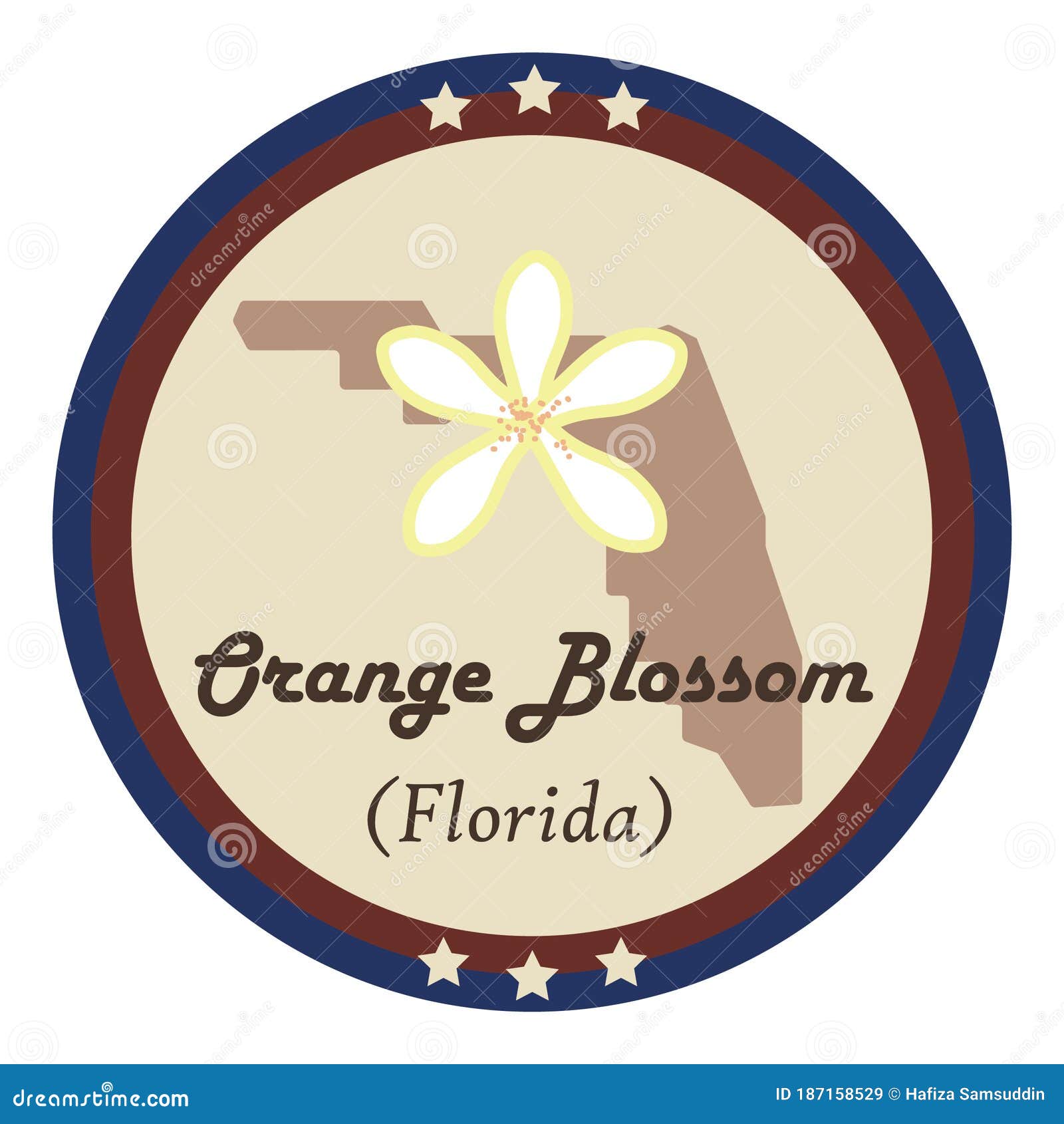 Florida State with Orange Blossom Flower. Vector Illustration ...