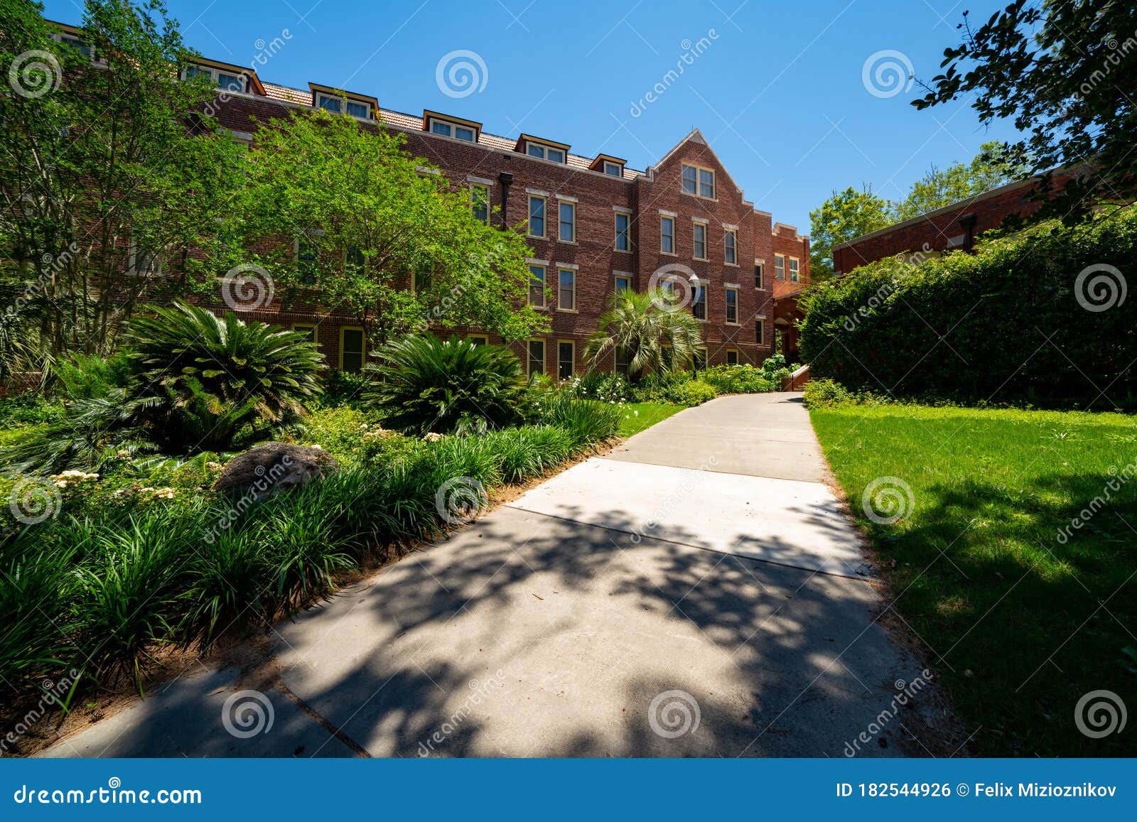 Florida State University Campus Garden Landscape Stock Photo - Image of ...