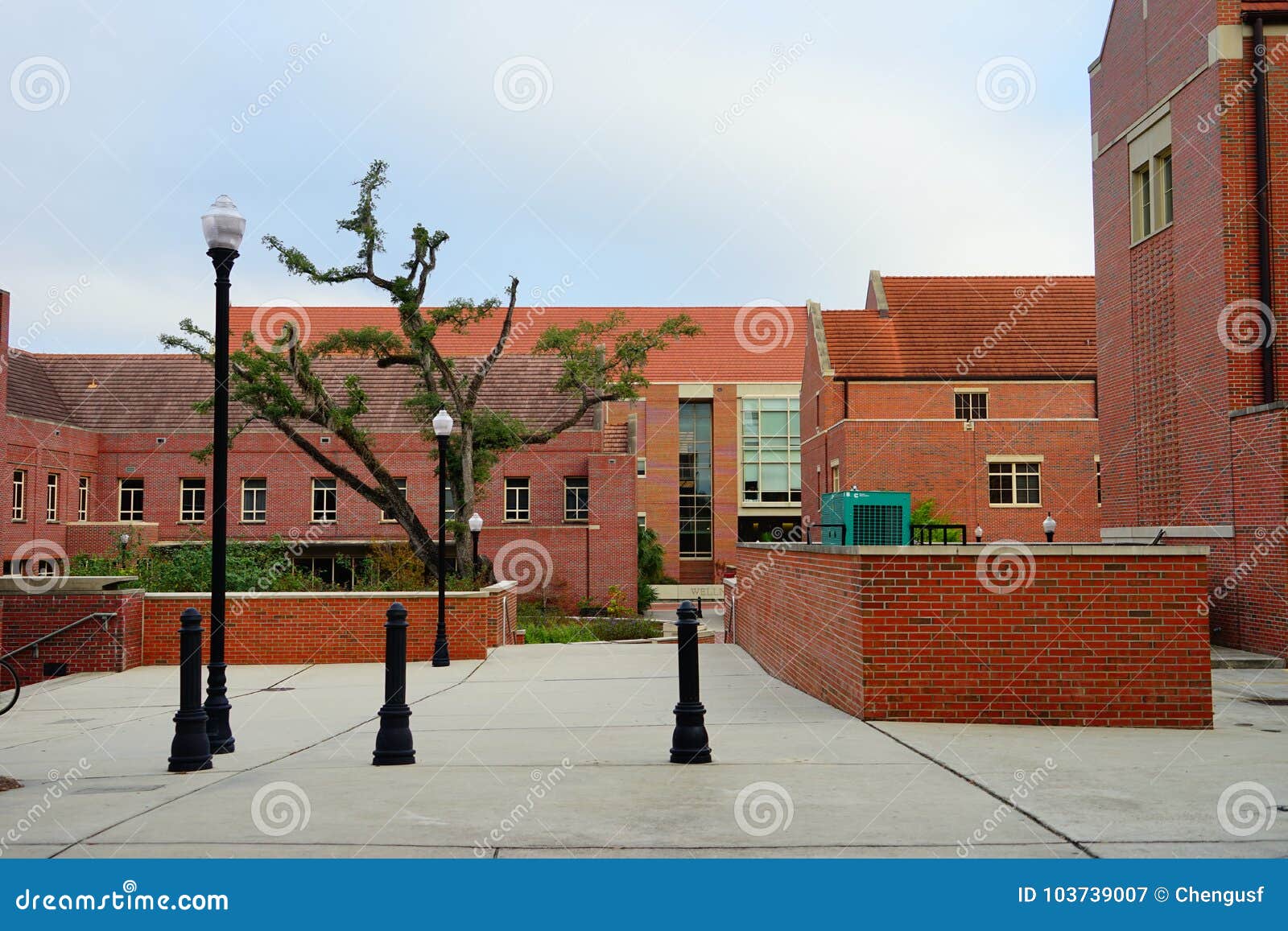 Florida State University Landscape Stock Image - Image of exterior ...