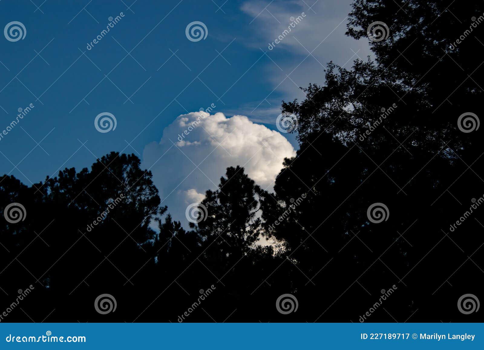 Florida Summer Tropical Cloud Number Nine Stock Image - Image of night ...