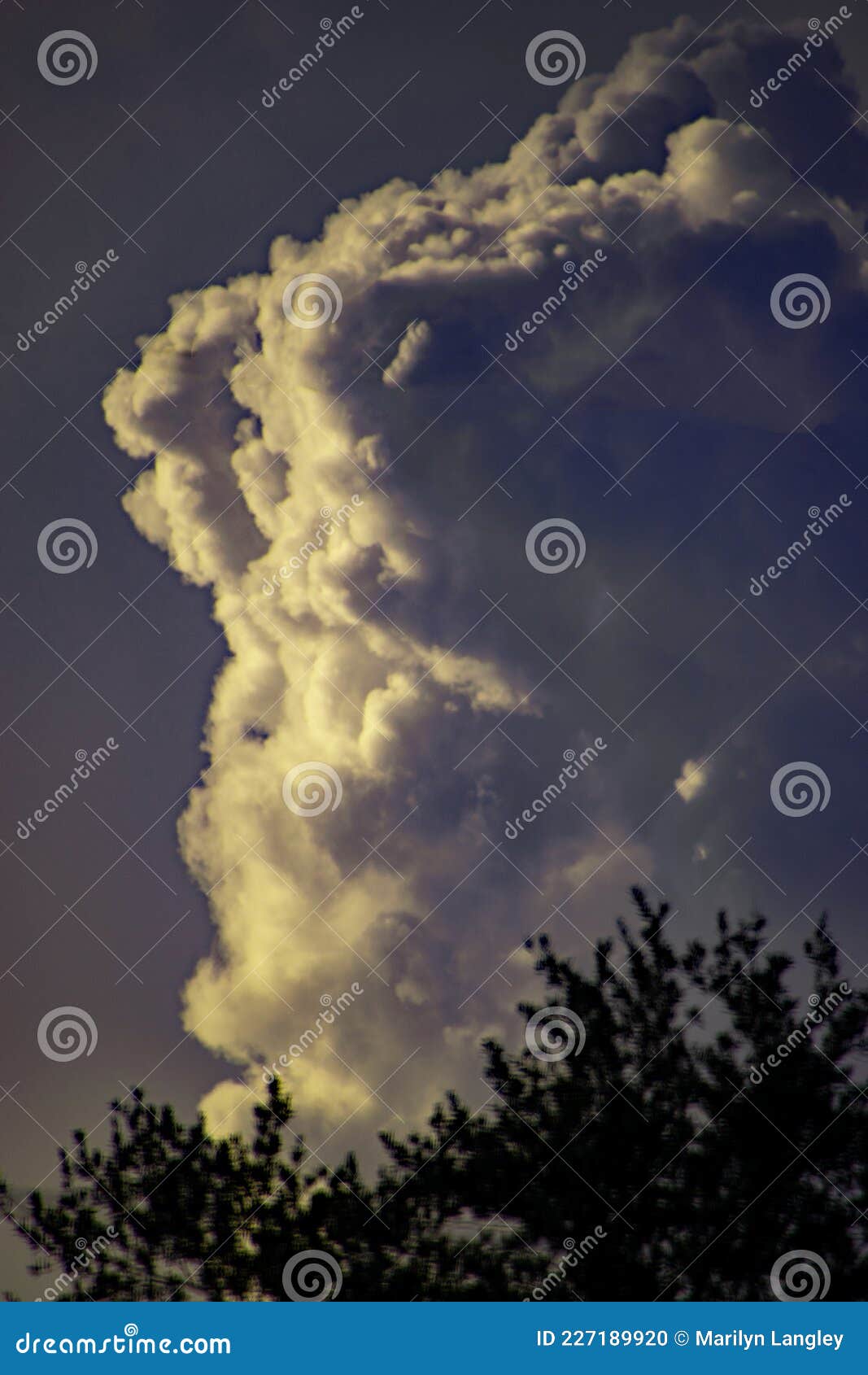 Florida Summer Tropical Cloud Number Seven Stock Photo - Image of ...