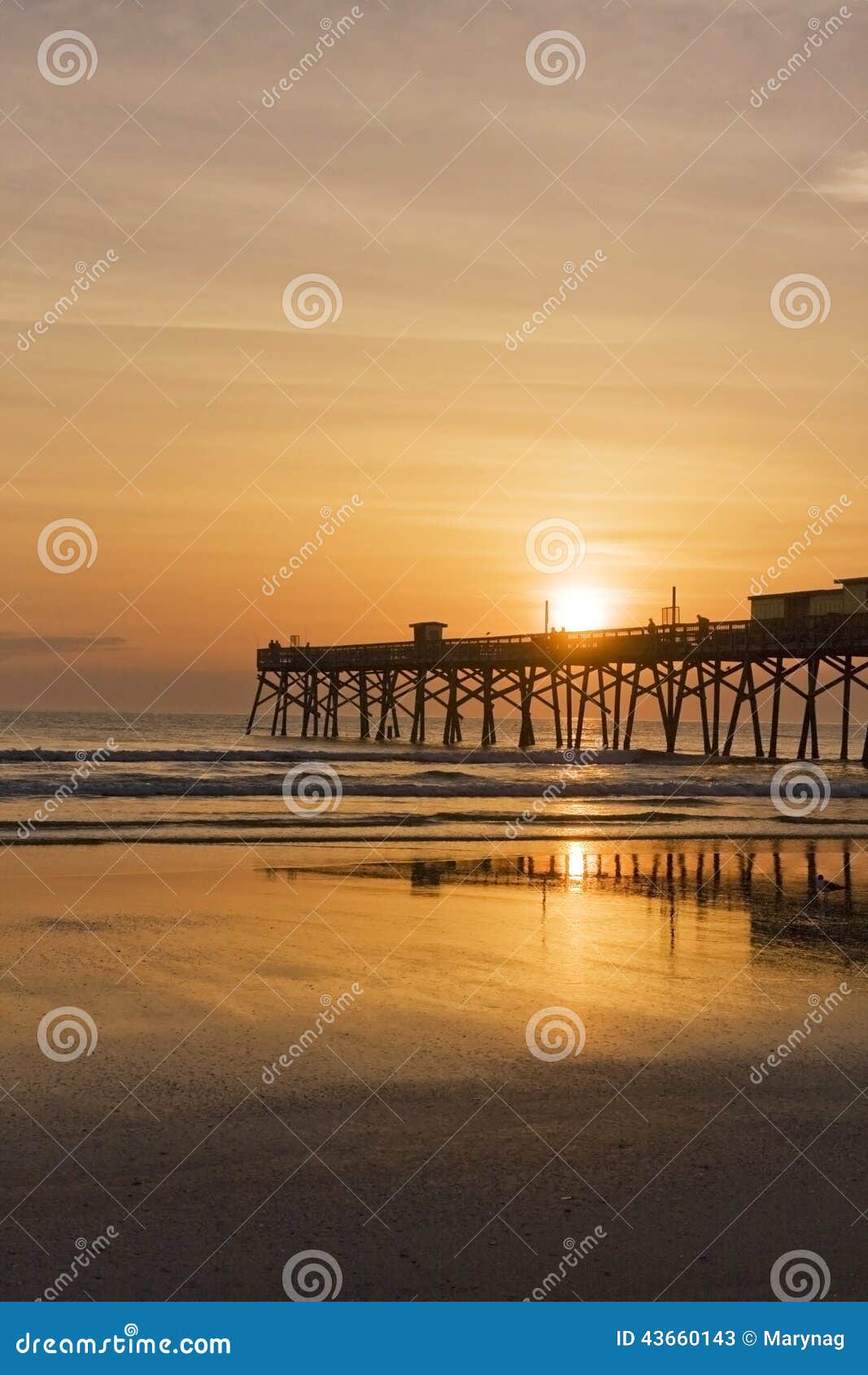 Florida sunrise stock image. Image of coastline, orange - 43660143