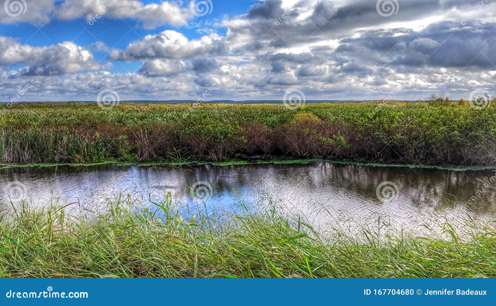 Florida Swamp Under Blue Sky Stock Photo - Image of sunny, reflection ...