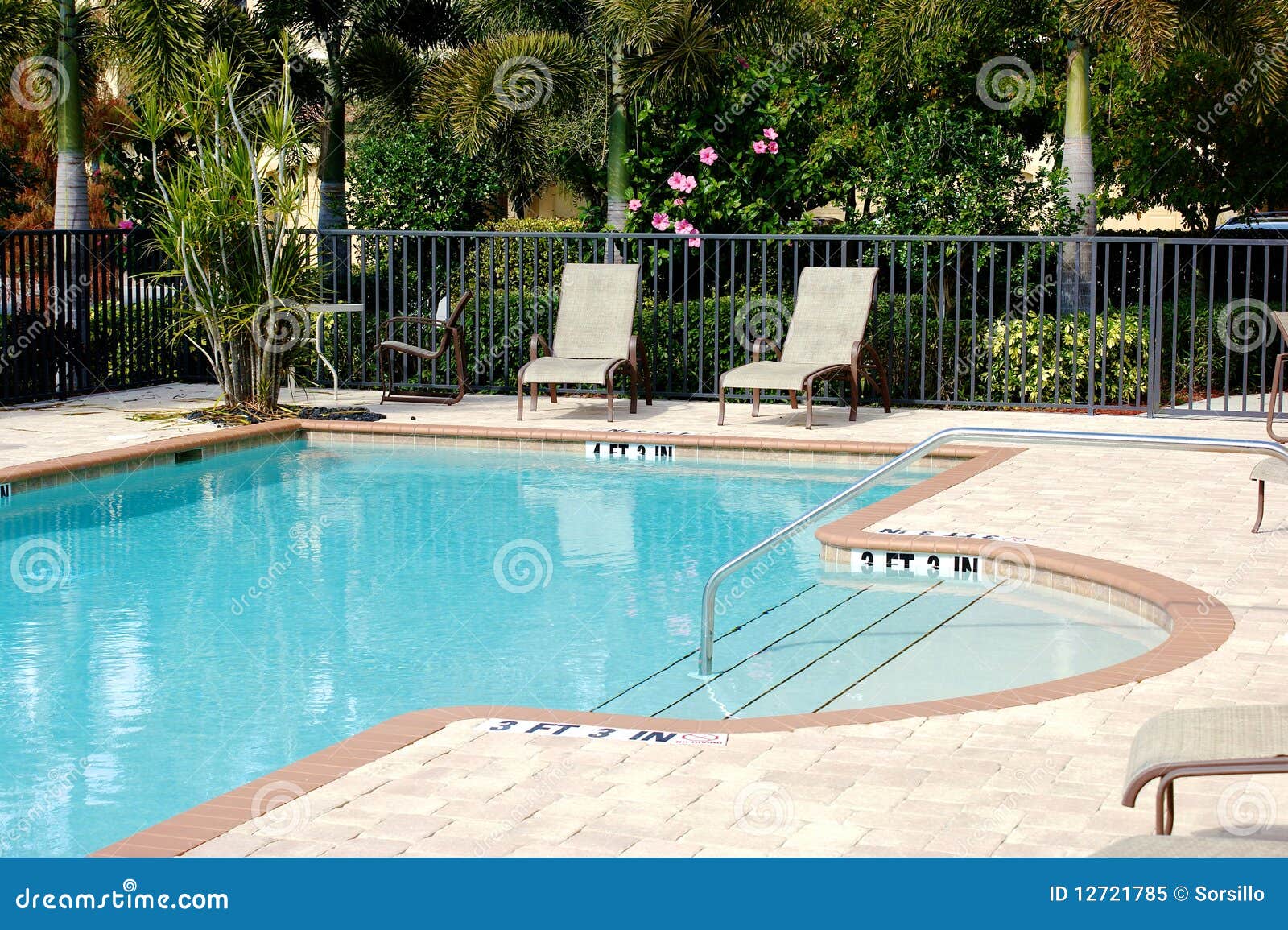 Florida swimming pool stock image. Image of water, railing - 12721785