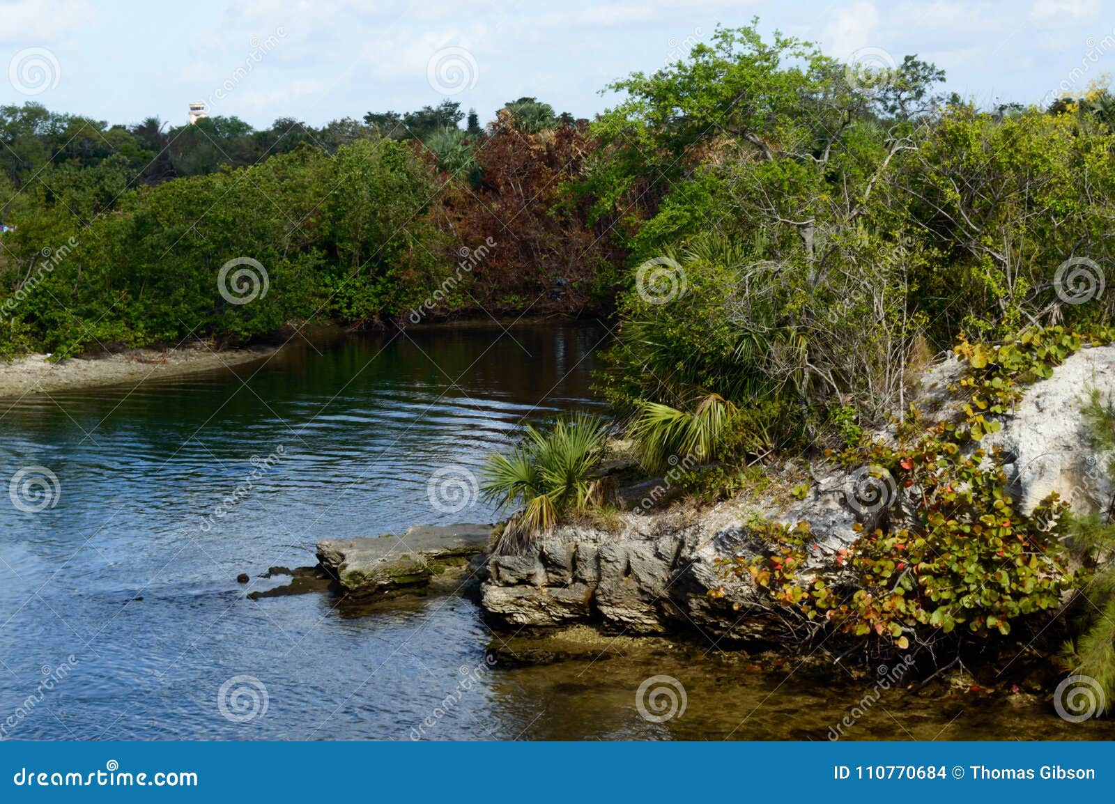 Florida waterways stock photo. Image of backdrop, waterways - 110770684