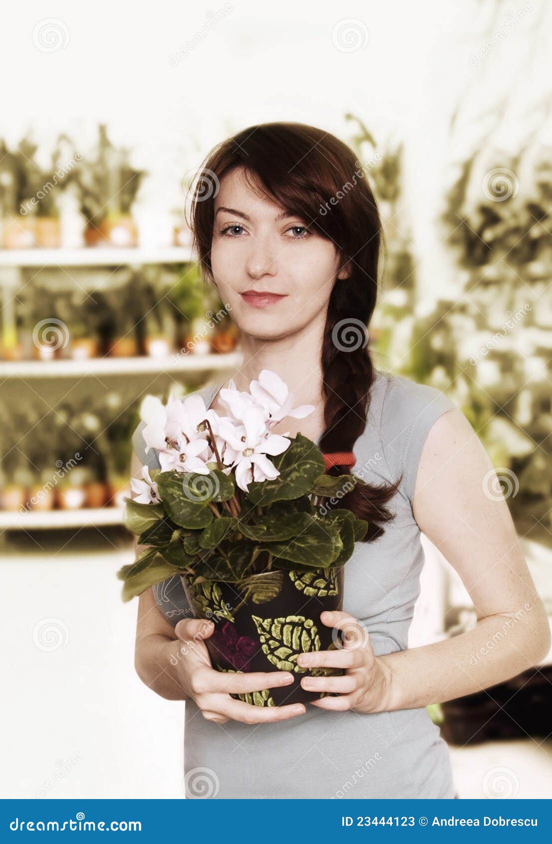 Florist stock image. Image of indoors, flowers, plant - 23444123