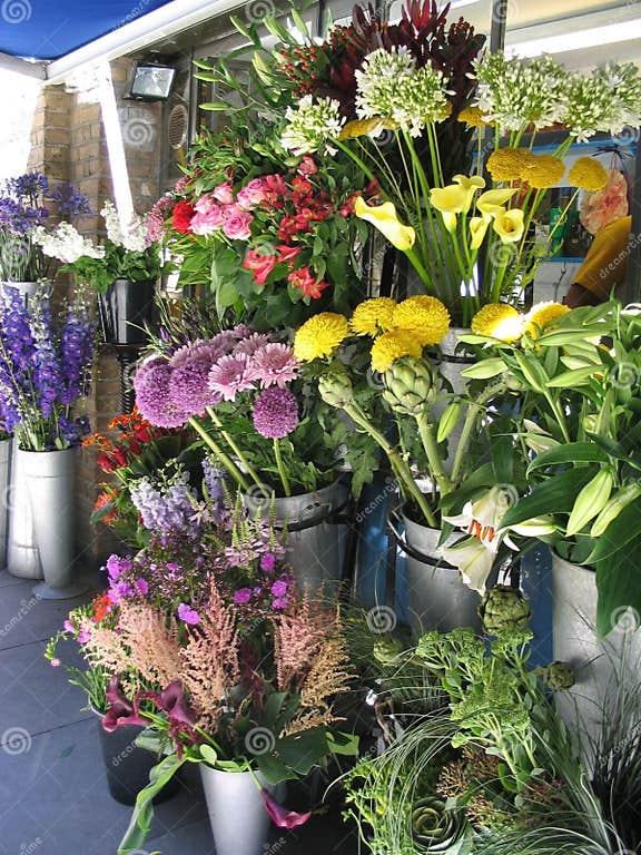 Florist stock image. Image of leaves, flower, florist, mothers - 654495