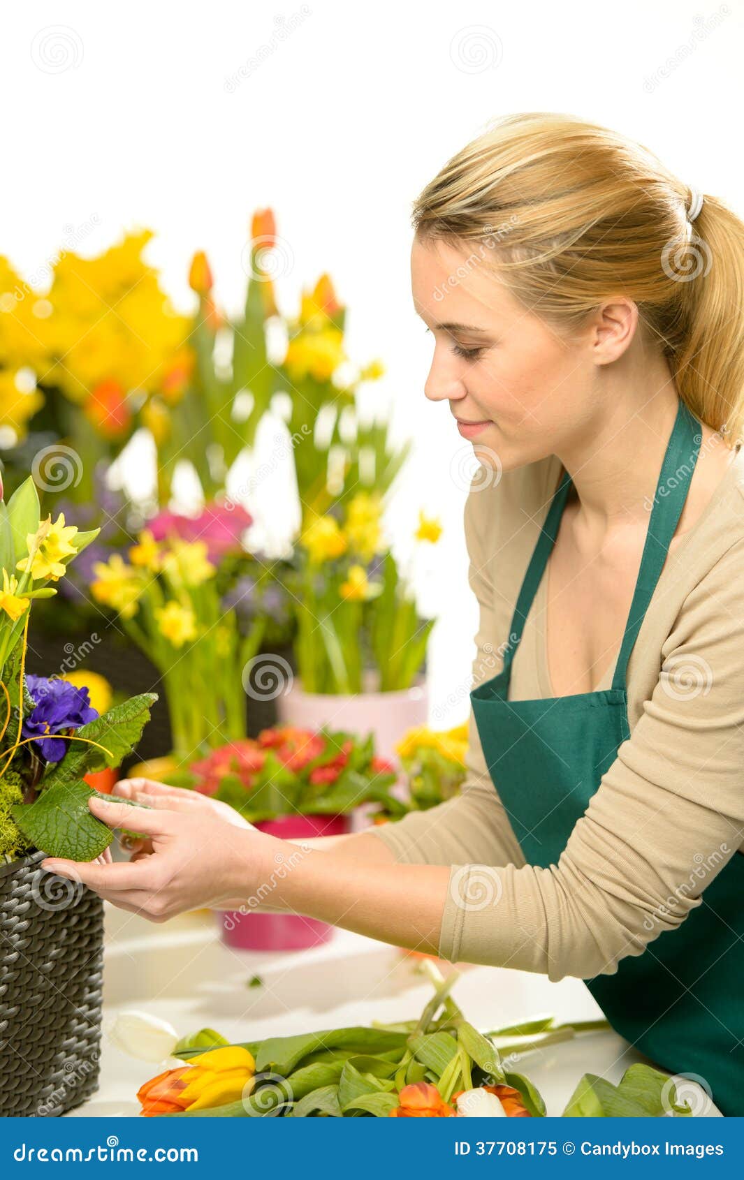Florist Arrange Spring Flowers Colorful Stock Image - Image of woman ...