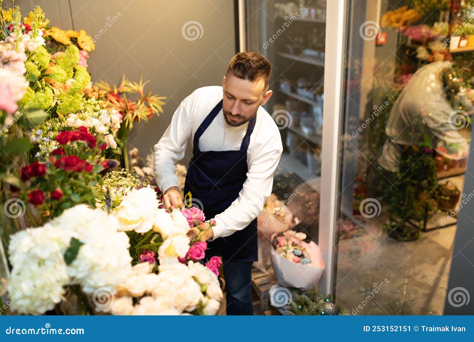 Florist in the Fridge Creating Flower Arrangements Stock Image - Image ...