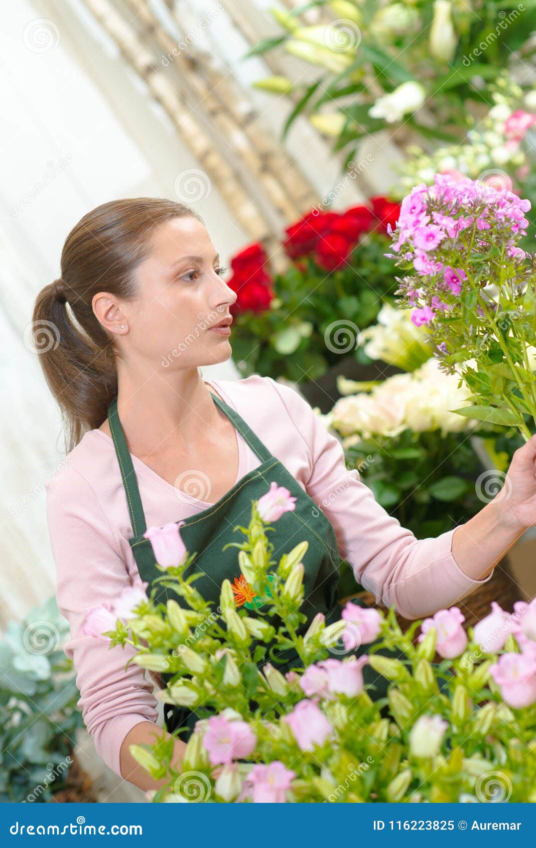 Florist searching a flower stock image. Image of fragrance - 116223825