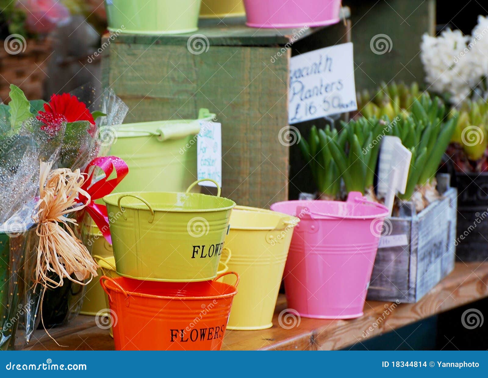 6,164 Spring Goods Stock Photos - Free & Royalty-Free Stock Photos from ...