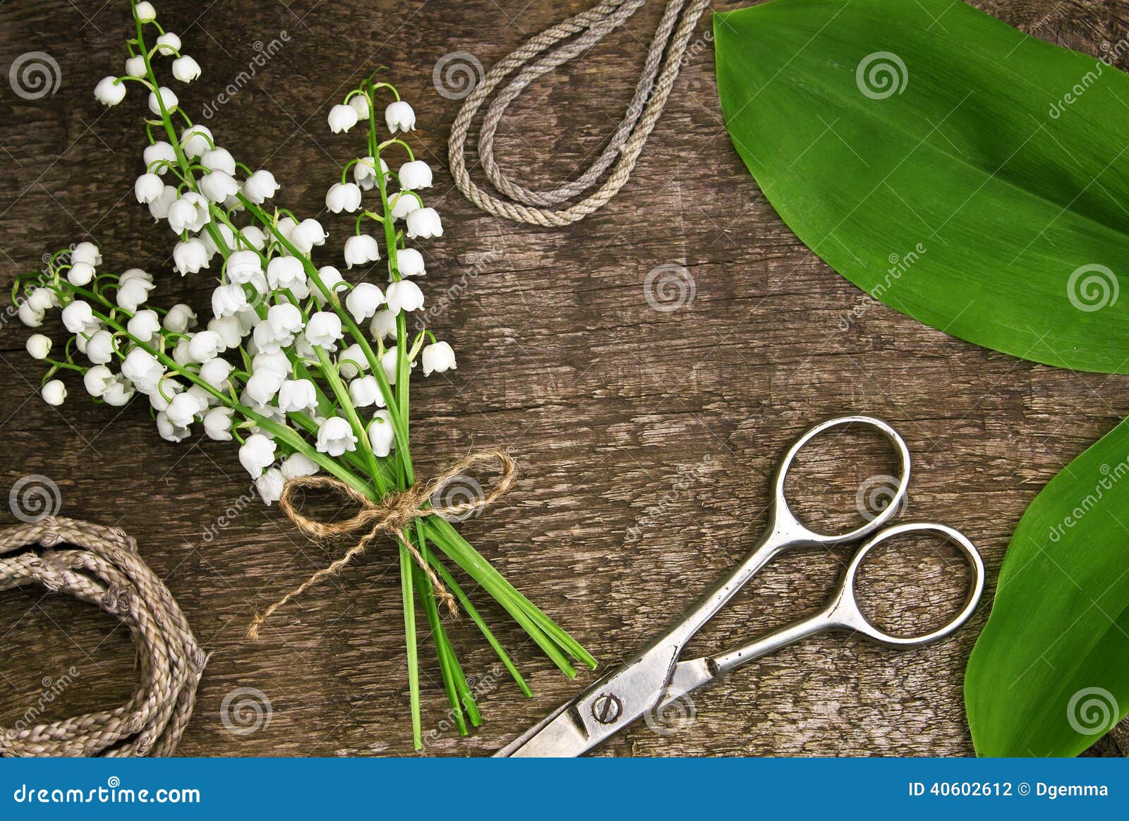 Florist table stock photo. Image of board, accessories - 40602612