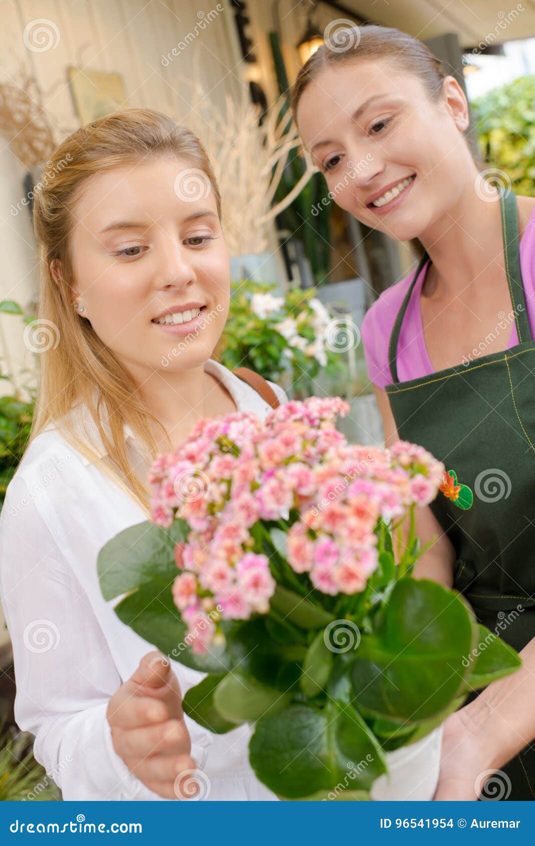 Florist Teaching Young Intern Stock Photo - Image of flower, store ...