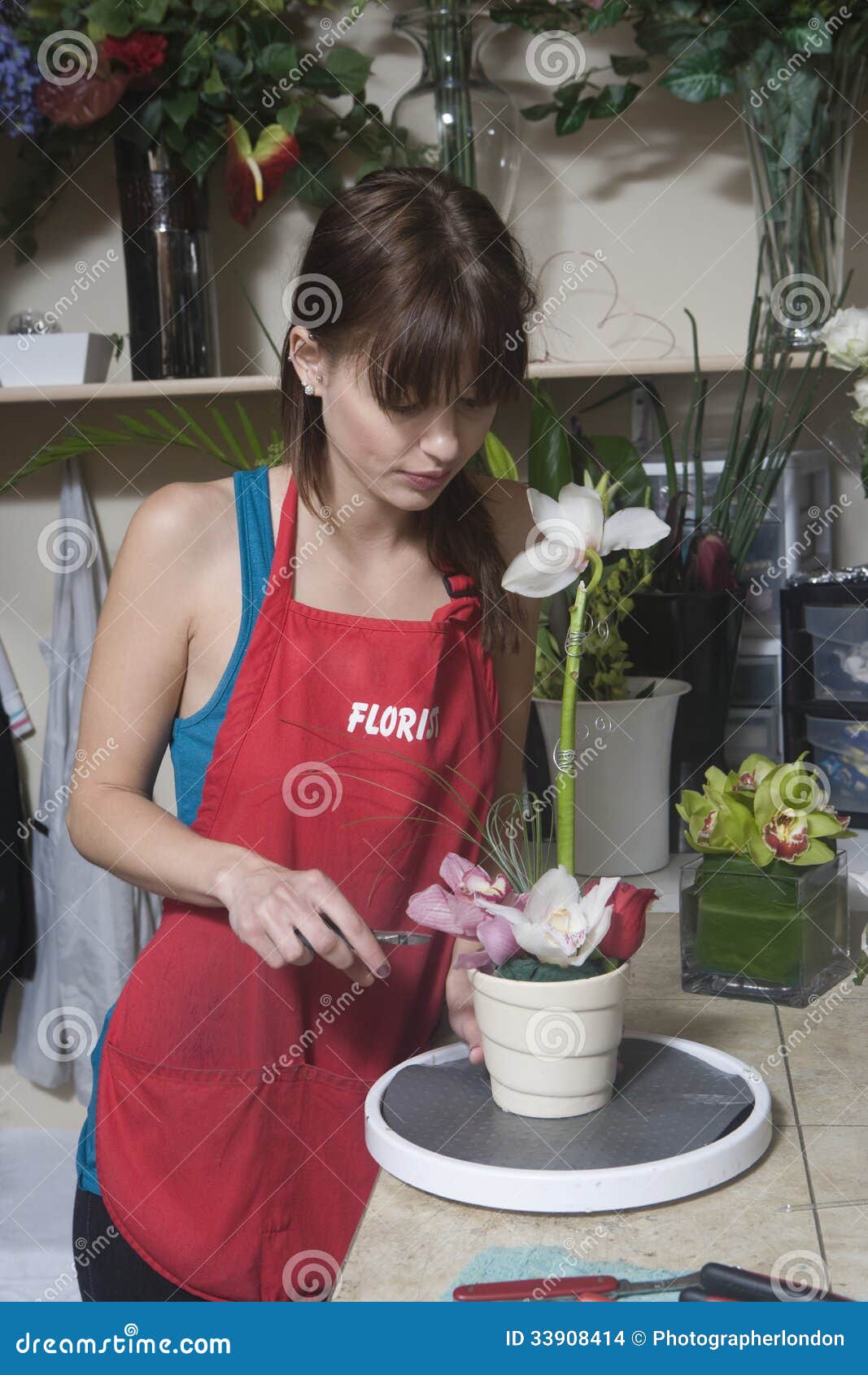 Florista Working at Counter Na Loja Foto de Stock - Imagem de olhar ...