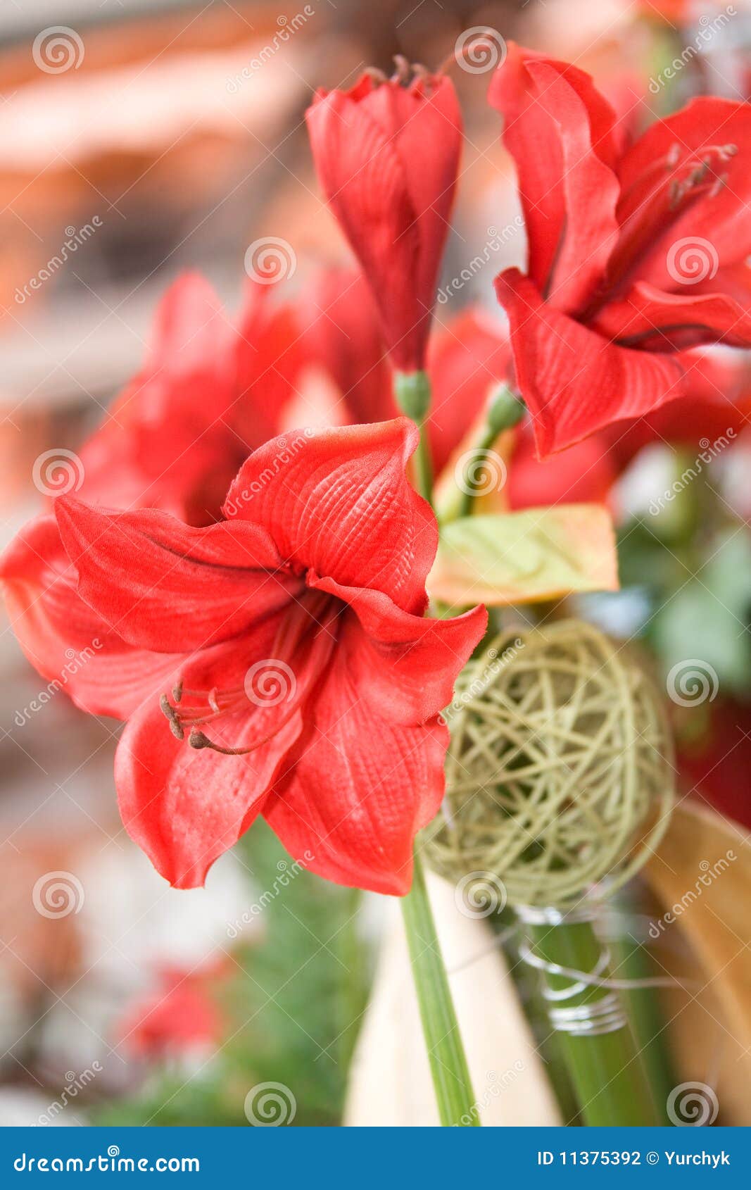 Floristic background stock photo. Image of florist, fragrance - 11375392