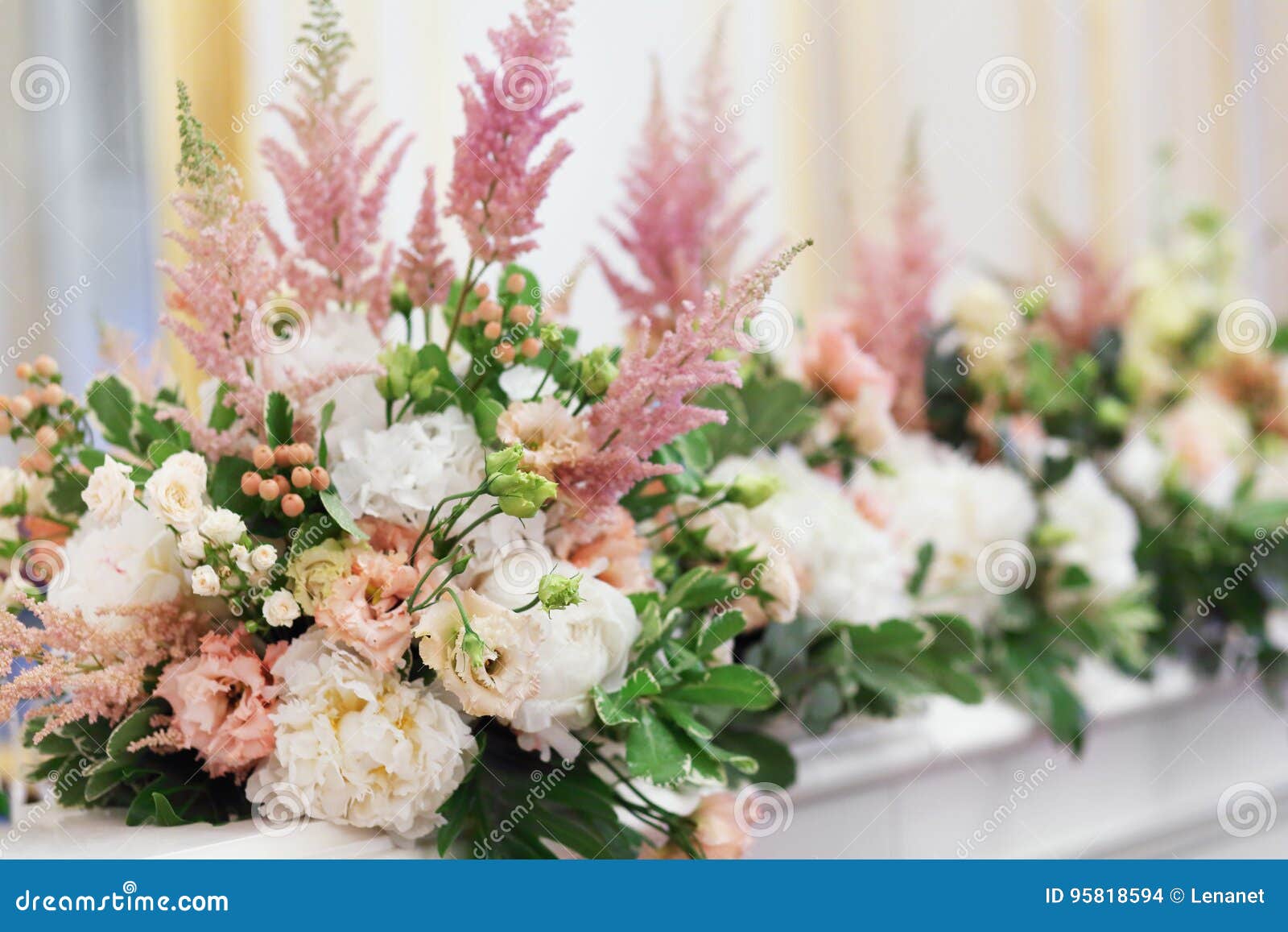 Floristic composition stock photo. Image of natural, floristic - 95818594