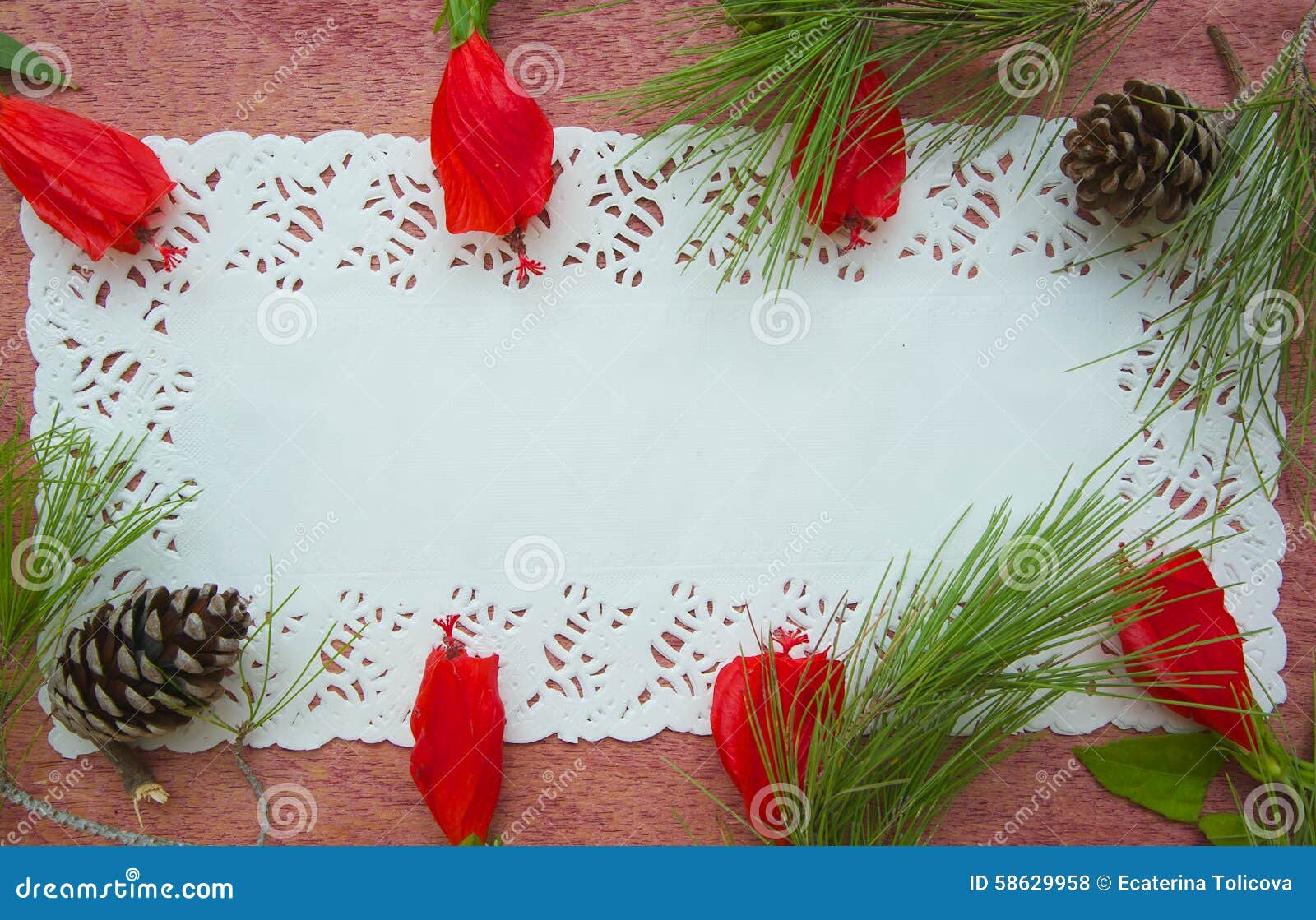 Floristic Composition - Postcard. Stock Photo - Image of colleagues ...