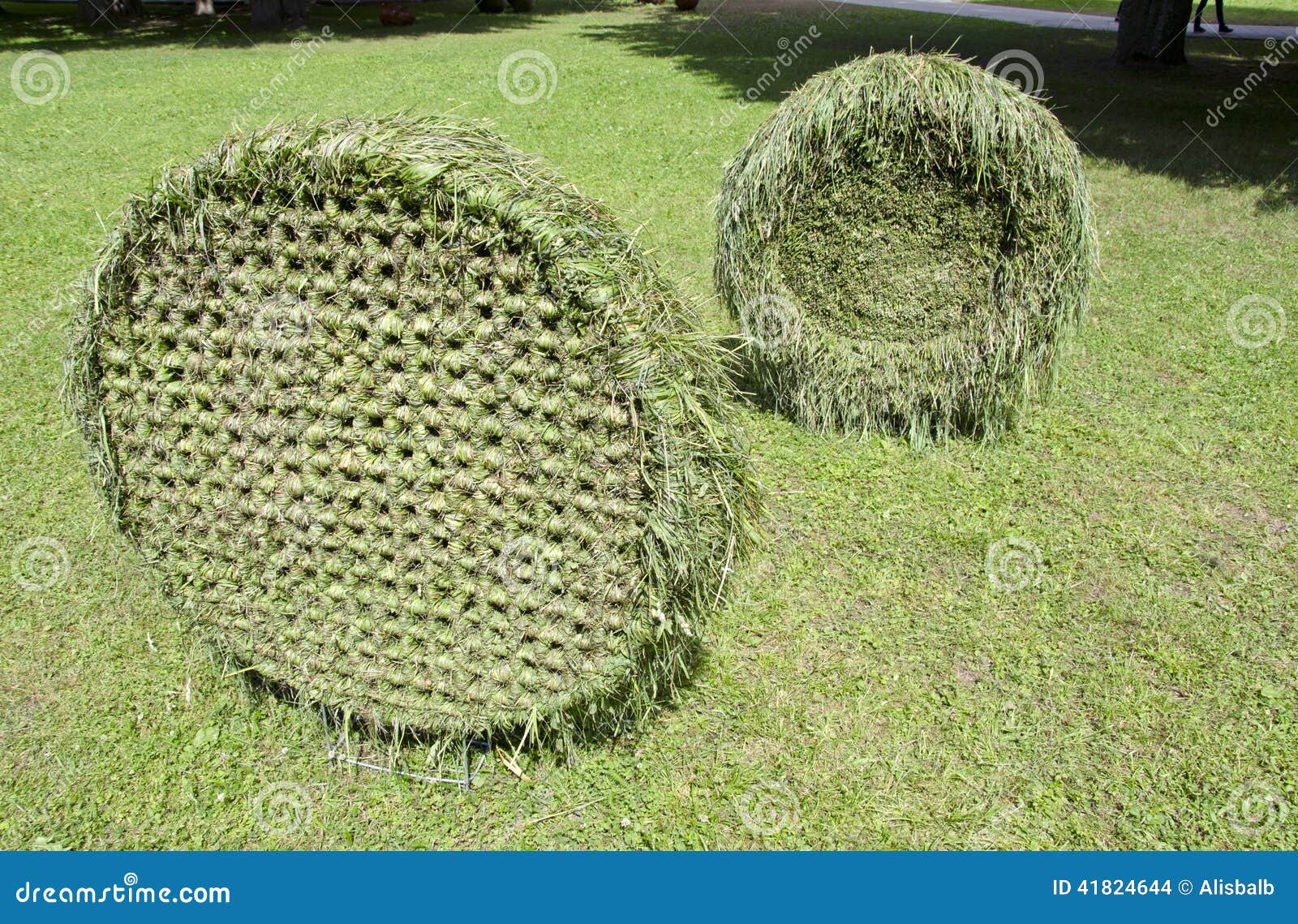 Floristic Grass Objects Wheel in Manor Park Stock Photo - Image of ...