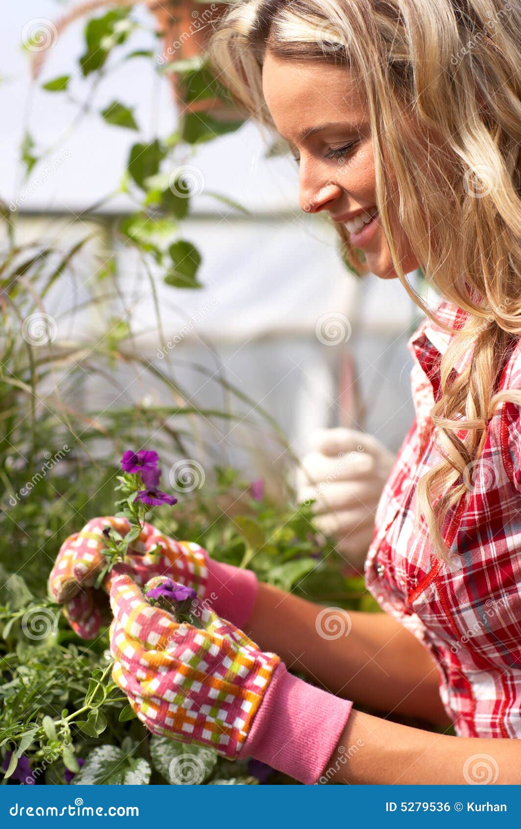 Florists stock photo. Image of garden, florist, horticulture - 5279536