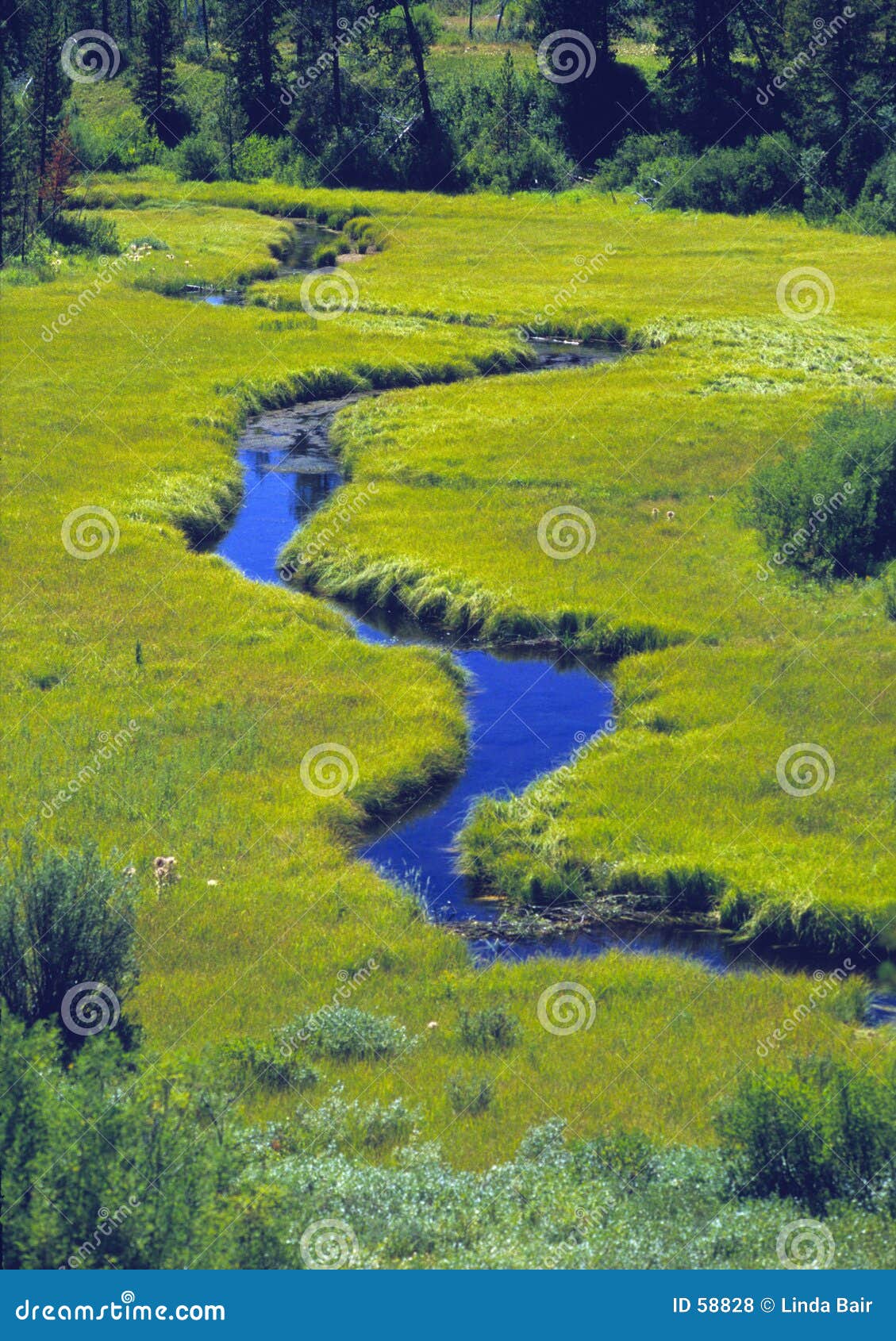 Flot de méandre par un pré photo stock. Image du polarisé - 58828