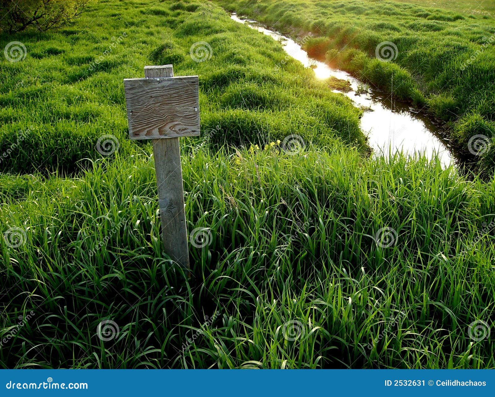 Flot Sunlit. Et Signe Blanc Image stock - Image du annonce, cordon: 2532631