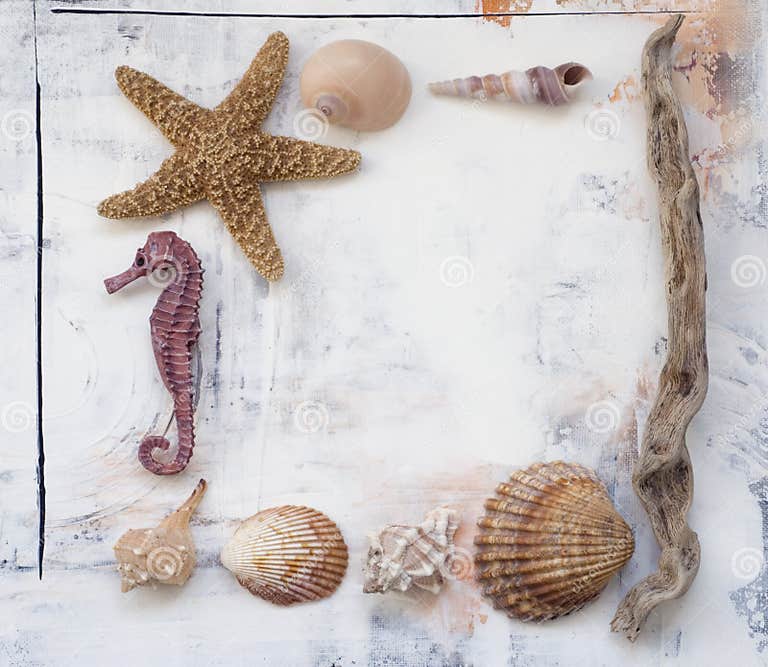 Flotsam frame stock image. Image of collection, horse - 7189269