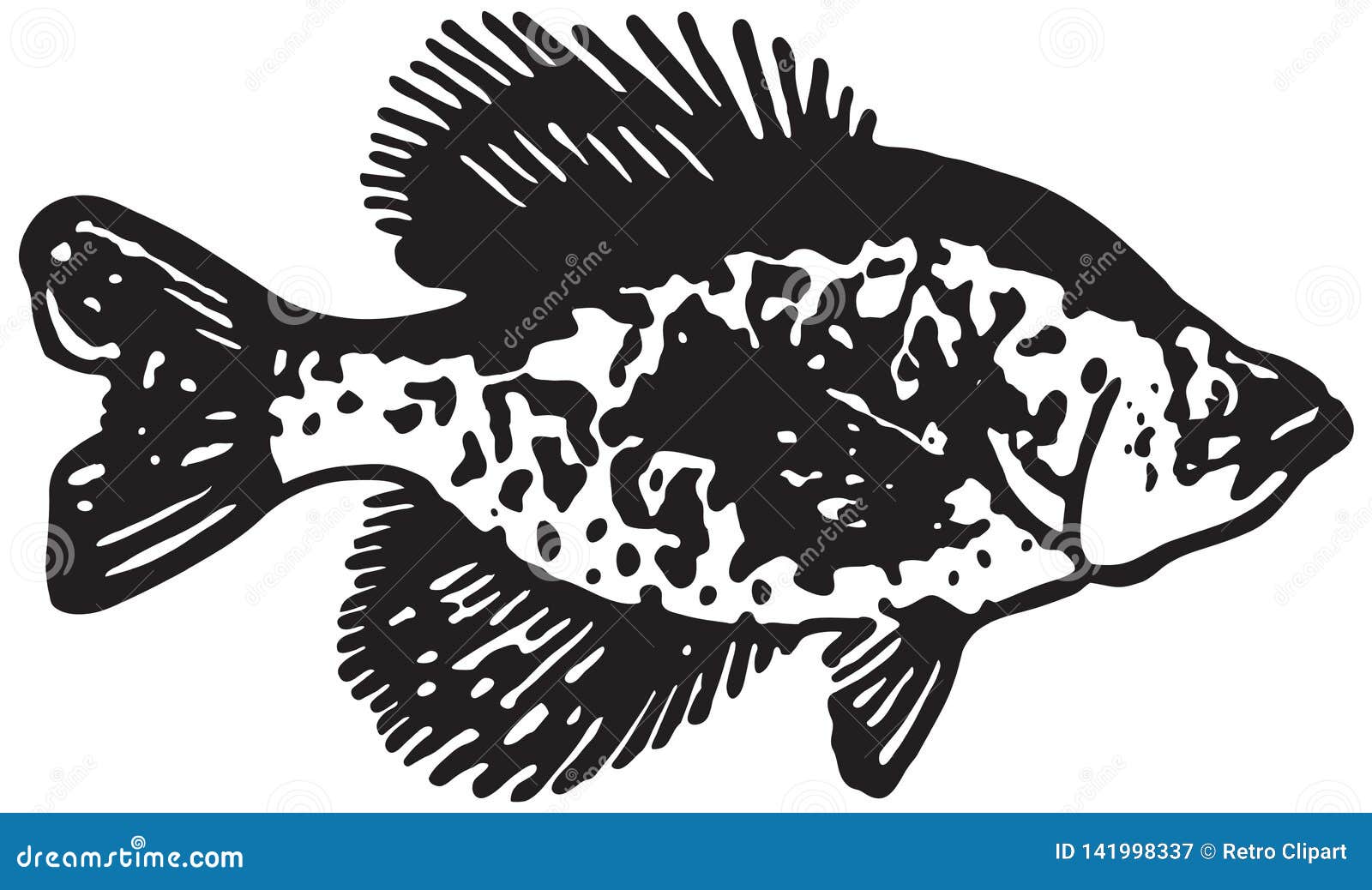 Flounder Fish Hand Drawn. Black And White. Beautiful Flatfish Drawing ...
