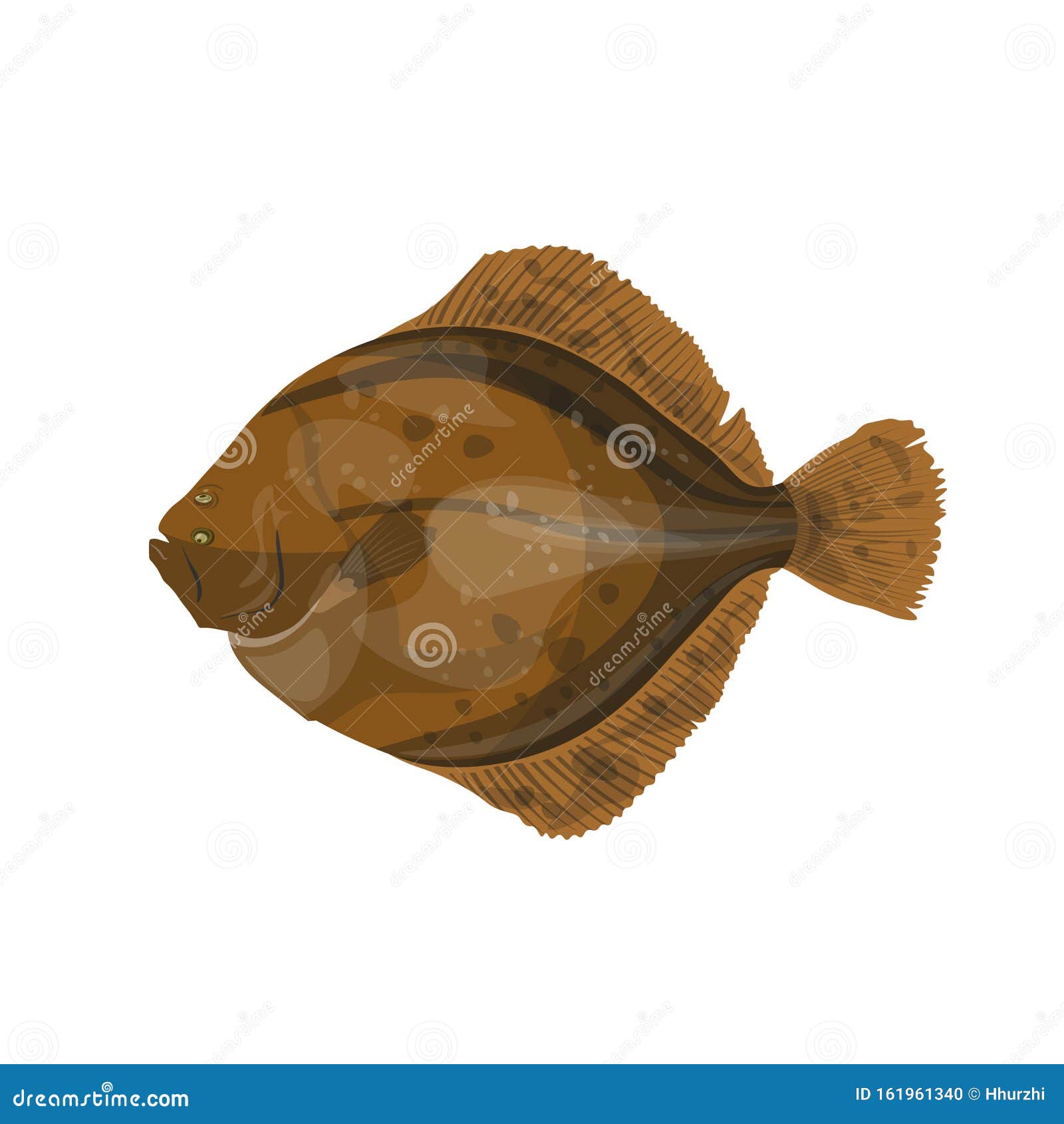 Flounder Fish, Vector Illustration in Flat Style Stock Vector ...