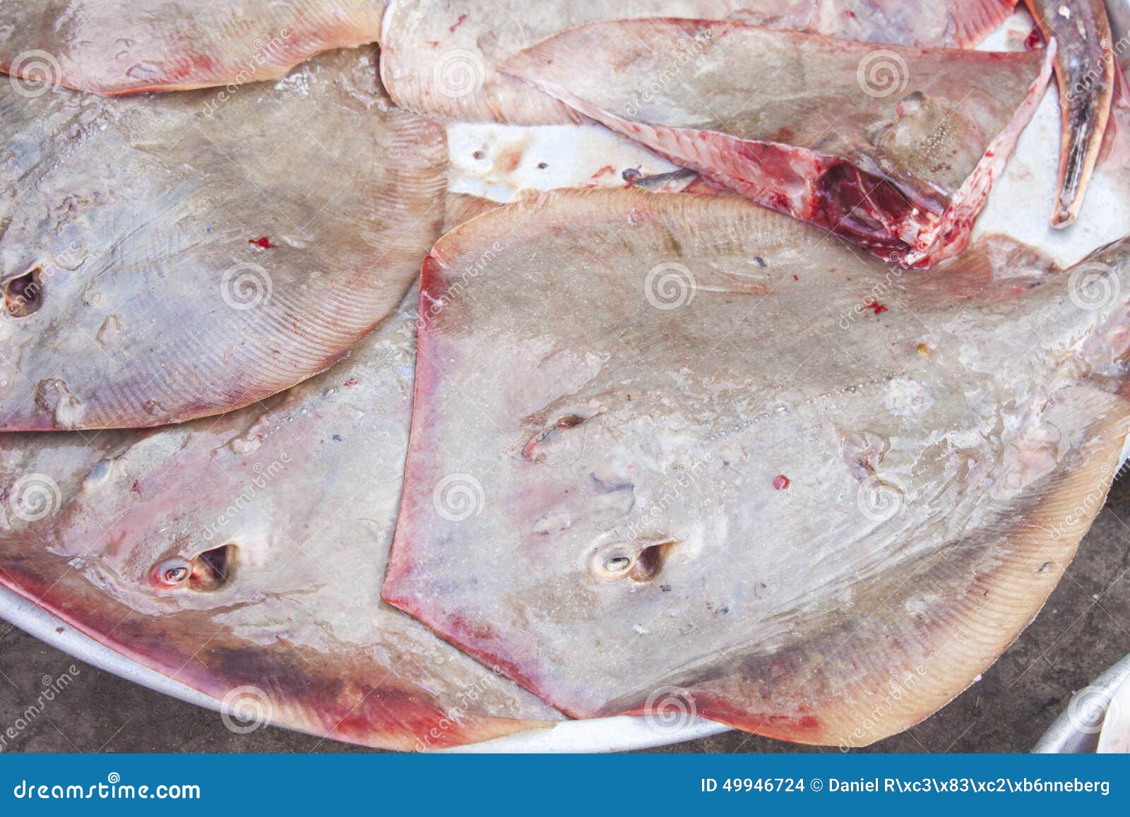 Flounder flatfish stock photo. Image of healthy, scale - 49946724