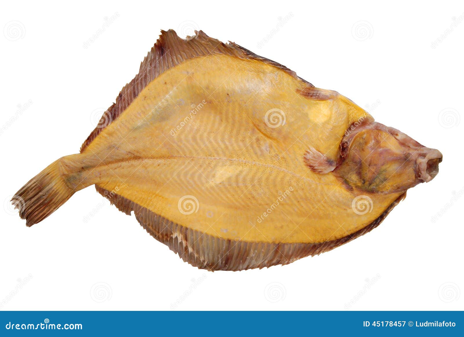 Flounder stock image. Image of head, dinner, fishy, fresh - 45178457