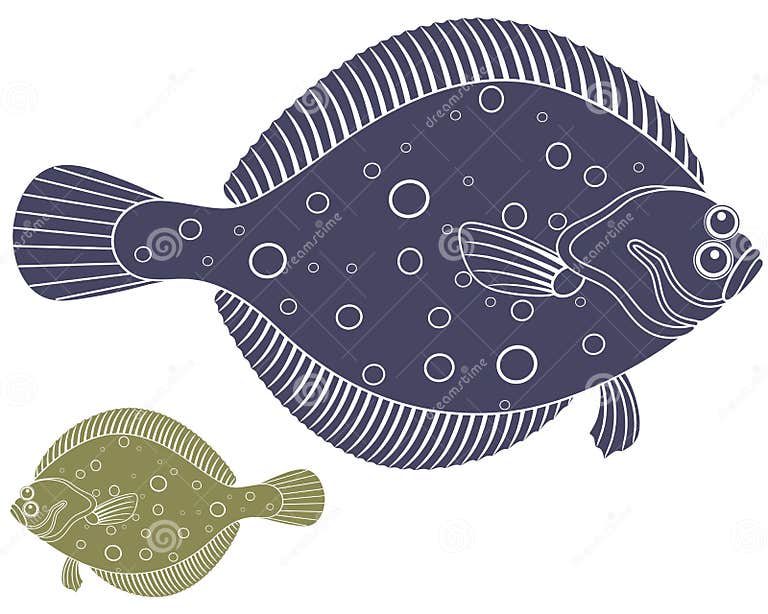 Flounder stock vector. Illustration of unusual, element - 48807488