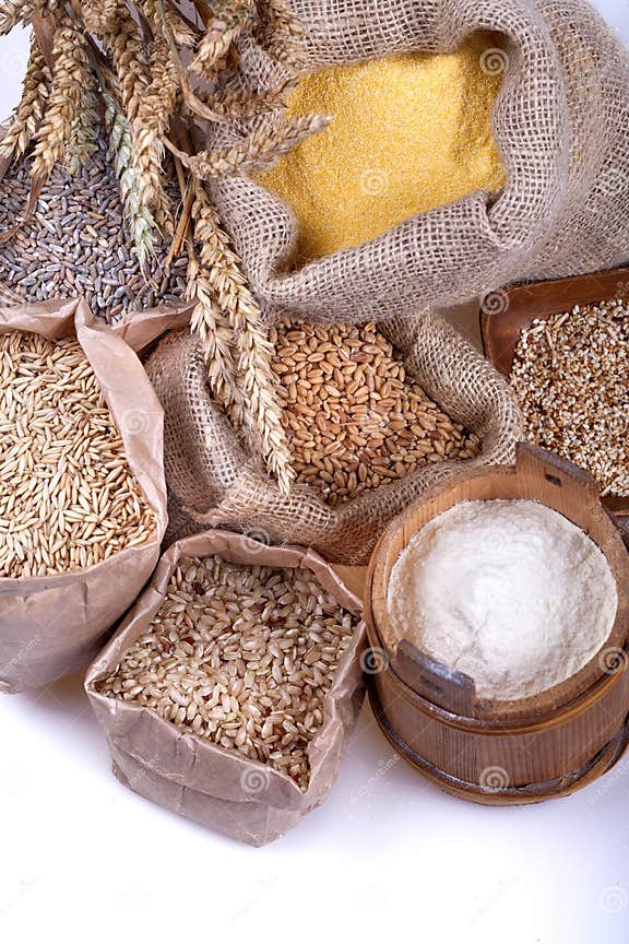 Flour and grains stock photo. Image of assorted, linseed - 32505346