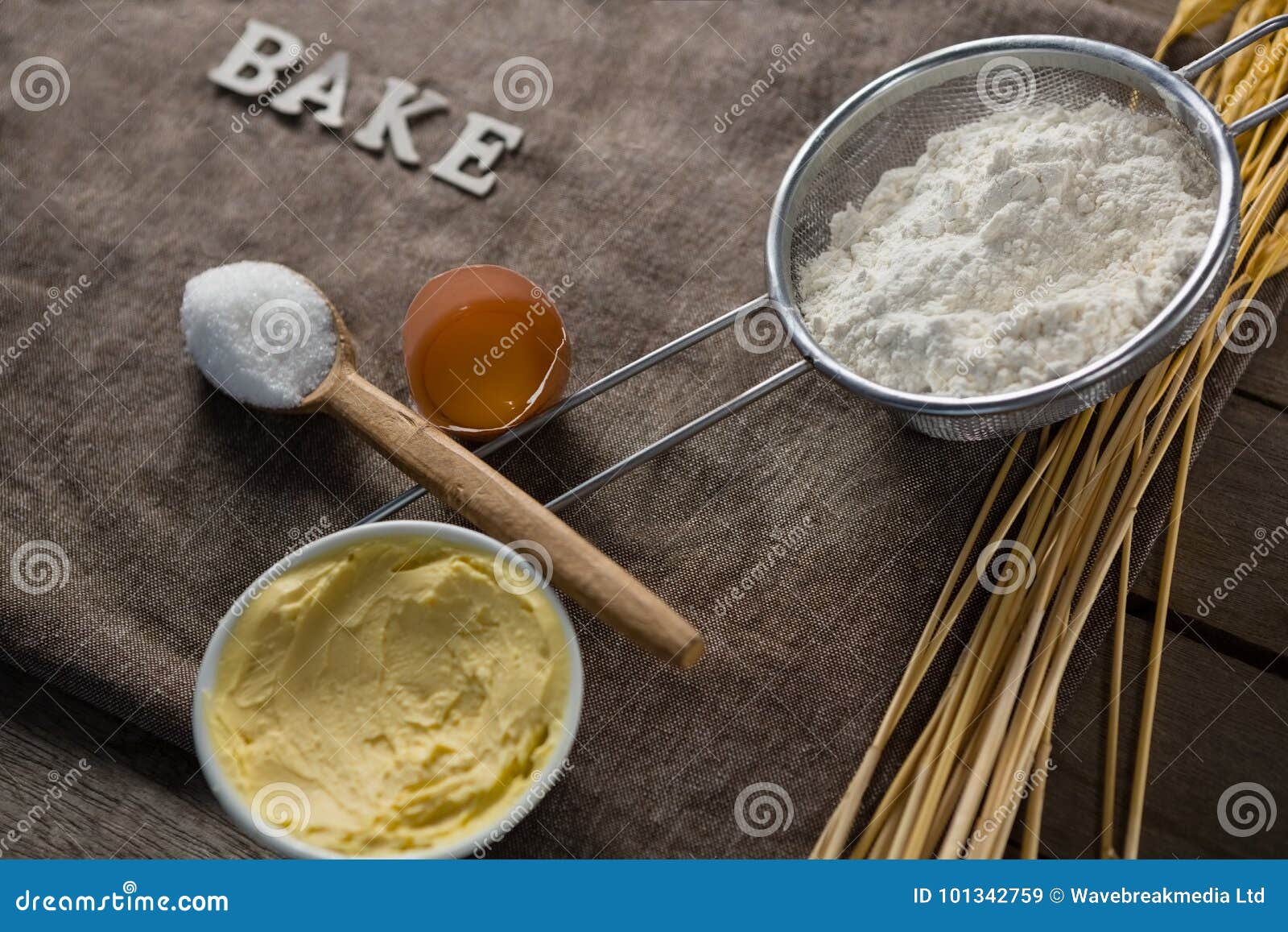 Stem With Sieve Cells Under The Microscope Royalty-Free Stock Photo ...