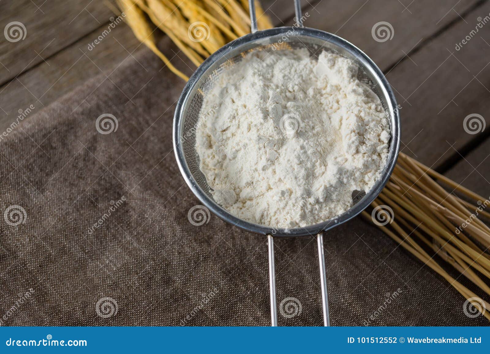 Stem With Sieve Cells Under The Microscope Royalty-Free Stock Photo ...