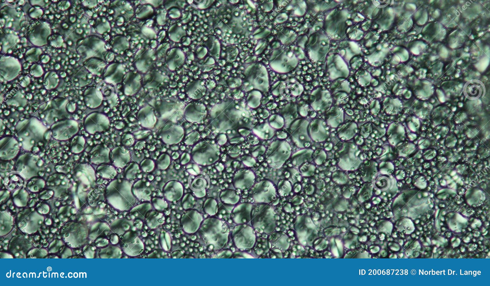 Flour with starch grains stock photo. Image of flour - 200687238