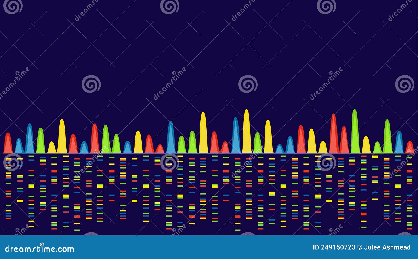 Fluorescent DNA Sequencing Data 2 Above PCR Bands in Bright Colors ...