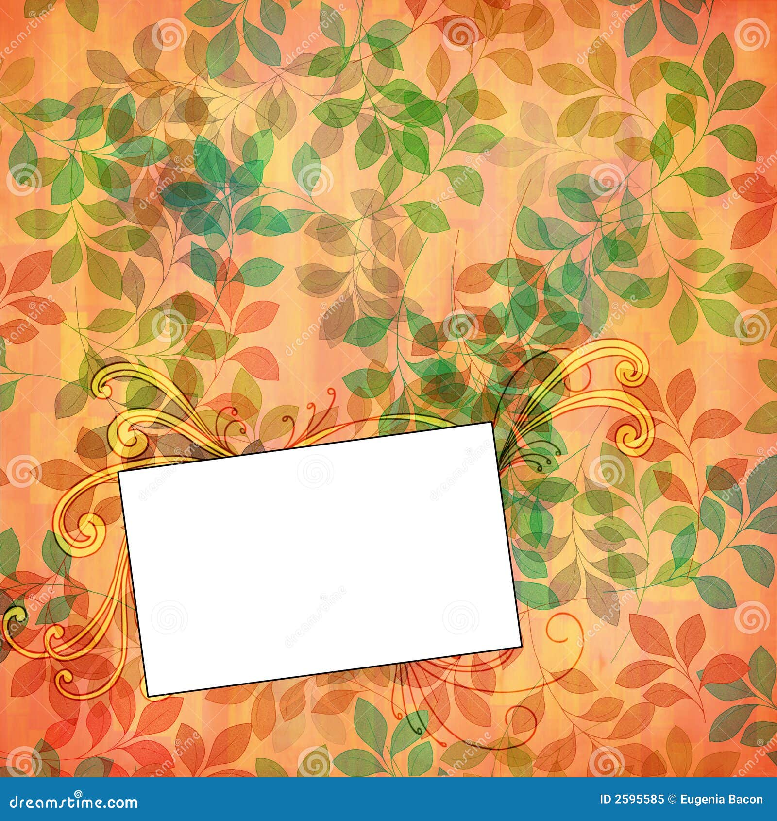 Set Of Flourished Frame Border Label Cartoon Vector | CartoonDealer.com ...