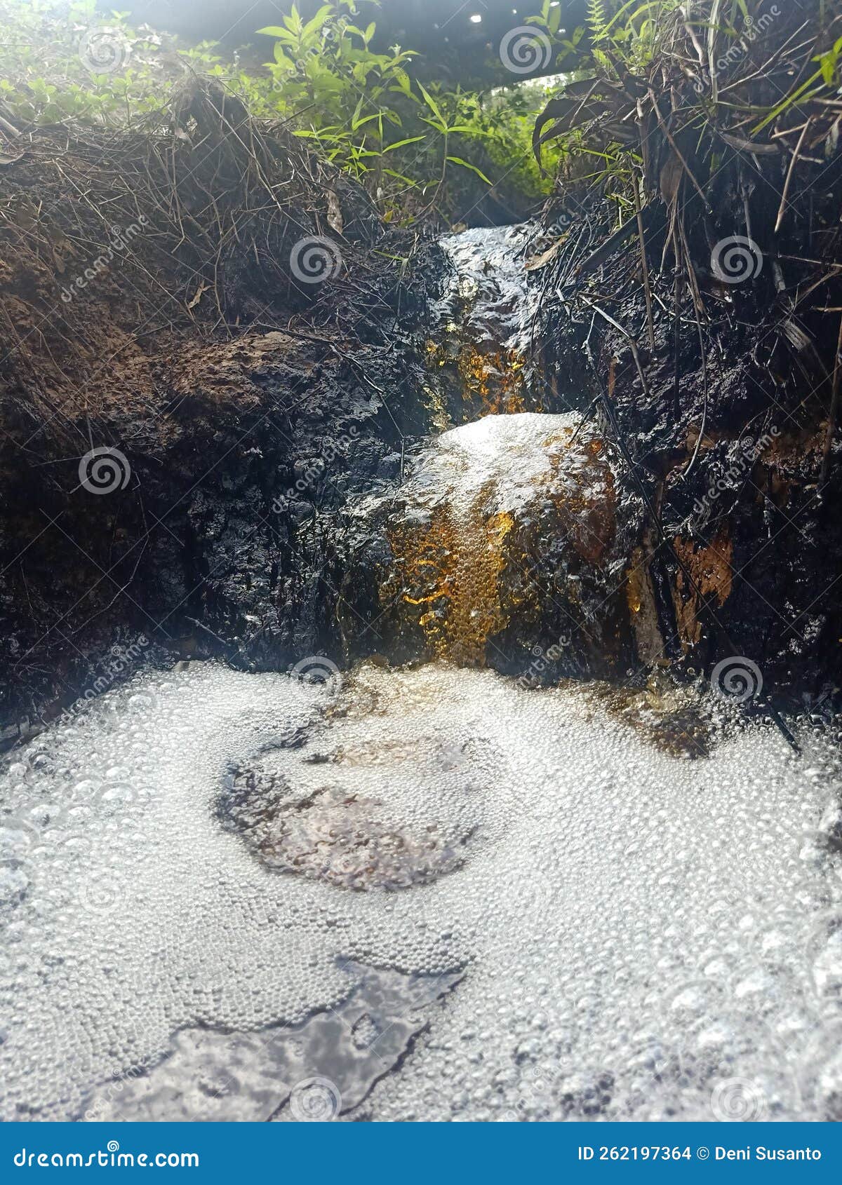 The Flow of the Ditch Water from the High Garden Flows into the River ...