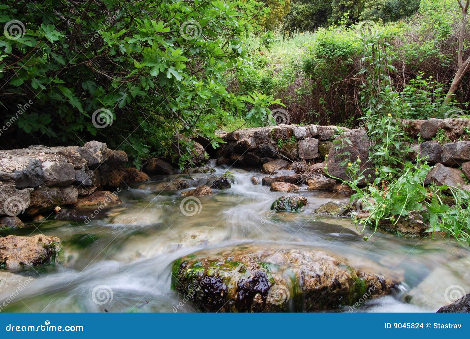 Flow of nature stock photo. Image of beauty, freshness - 9045824