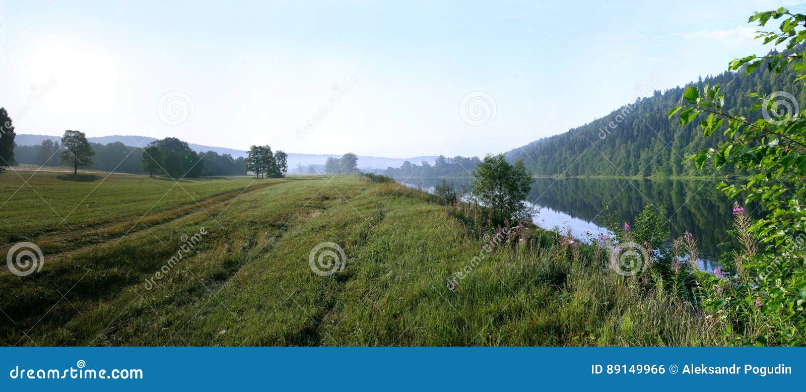 The Flow of the River Along the Quiet Green Field Stock Photo - Image ...